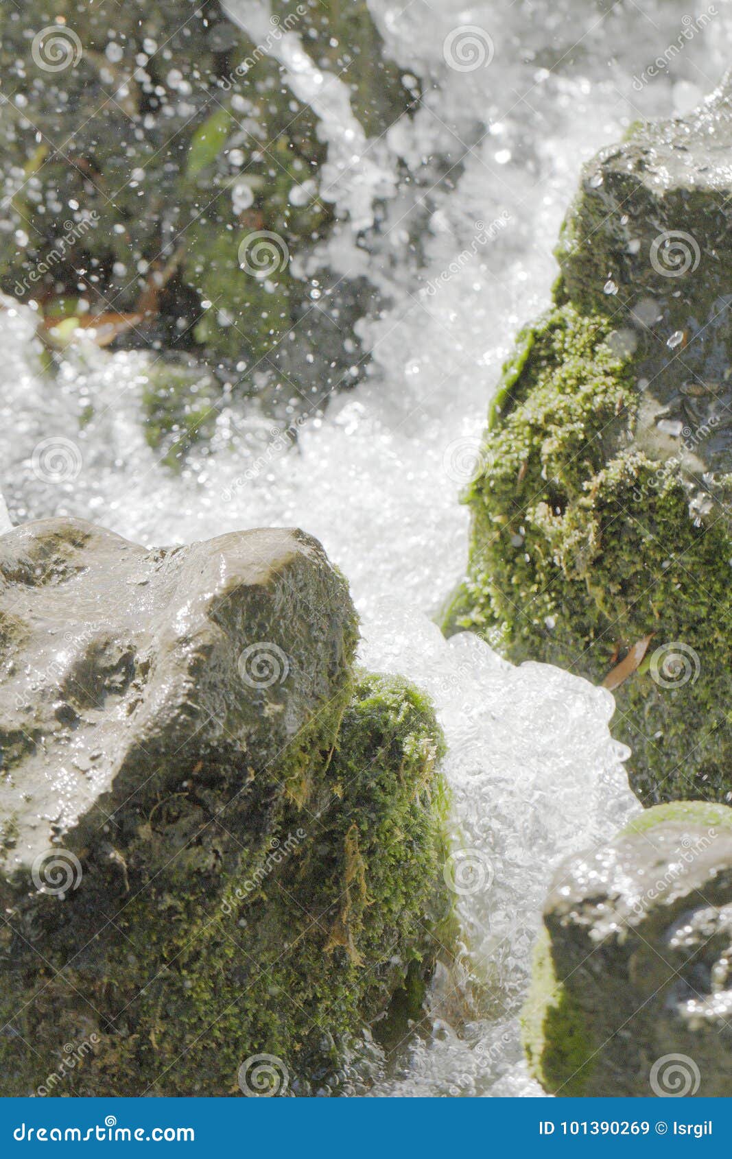 Waterfall Scene in White Water Stock Image - Image of nature, breaking ...