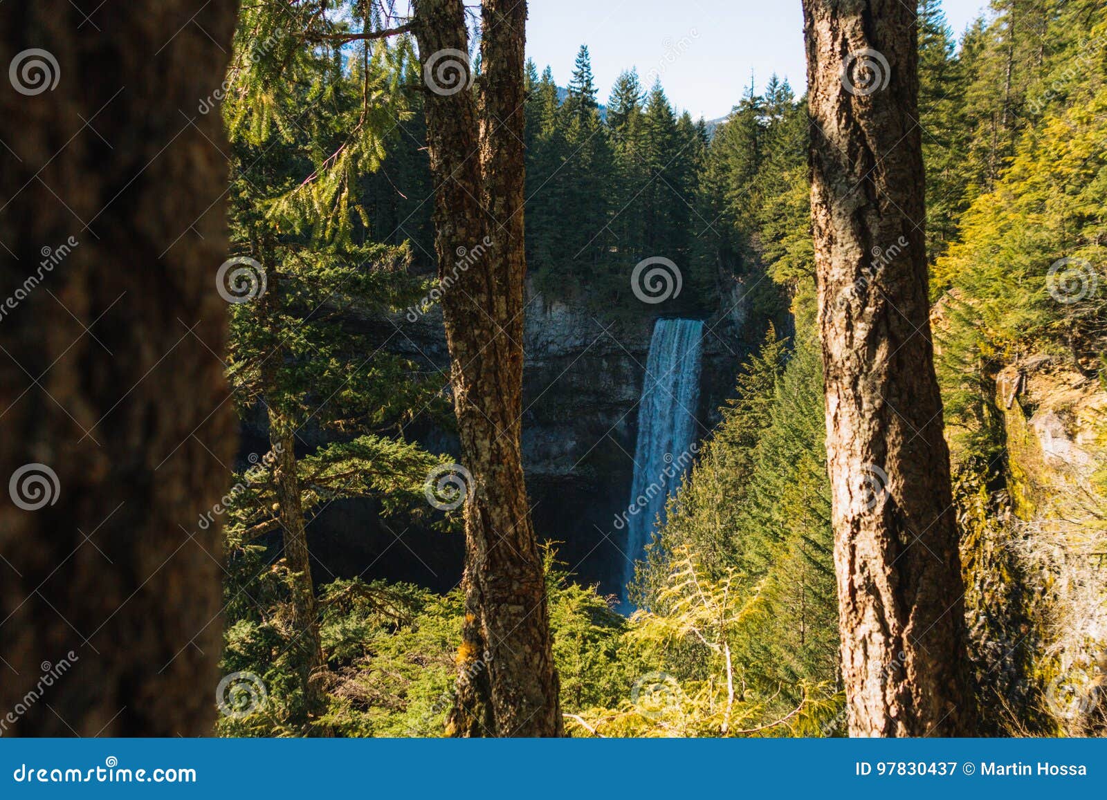 Waterfall in the Shadow in Deep Forest Stock Image - Image of hike ...