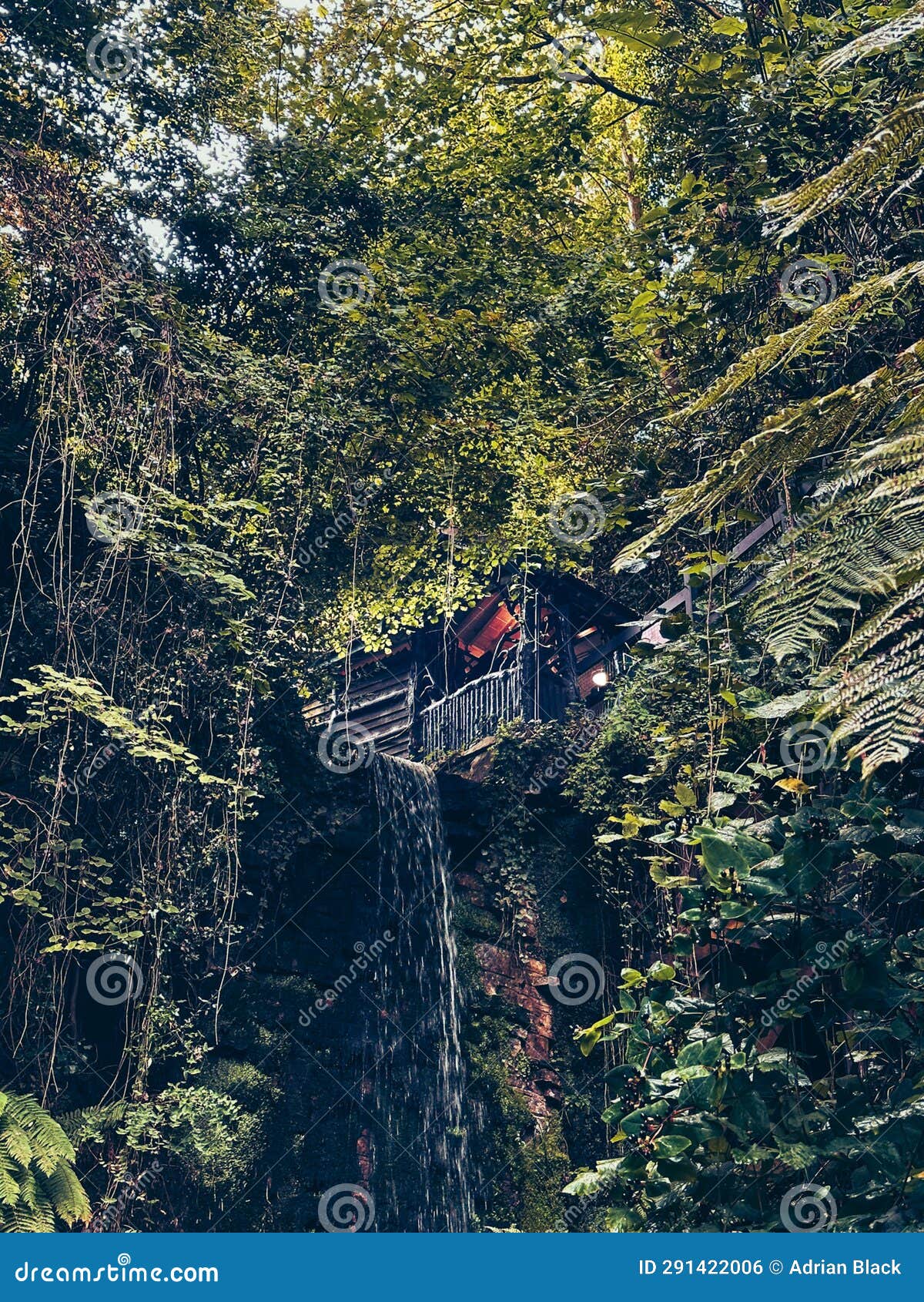 Waterfall in Shanklin stock photo. Image of wilderness - 291422006