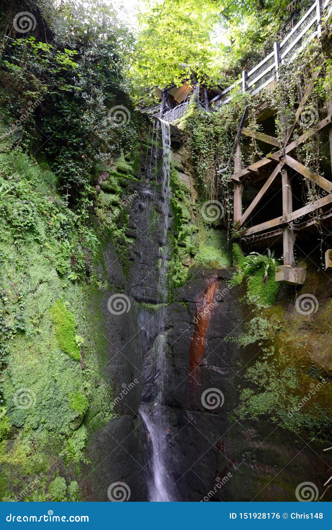 Shanklin Chine, Isle of Wight Stock Photo - Image of chine, shanklin ...