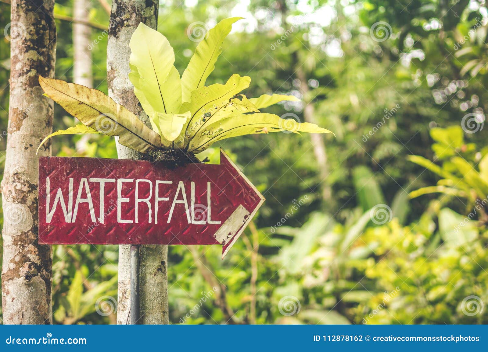 Waterfall Signage Picture. Image: 112878162