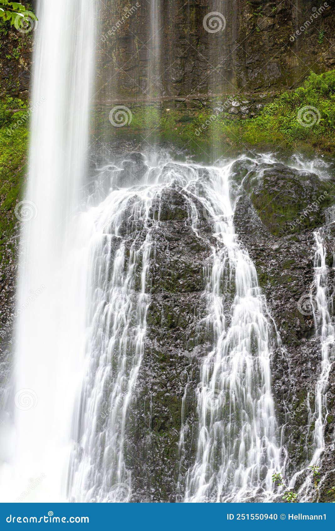Silver Falls State Park stock photo. Image of america - 251550940