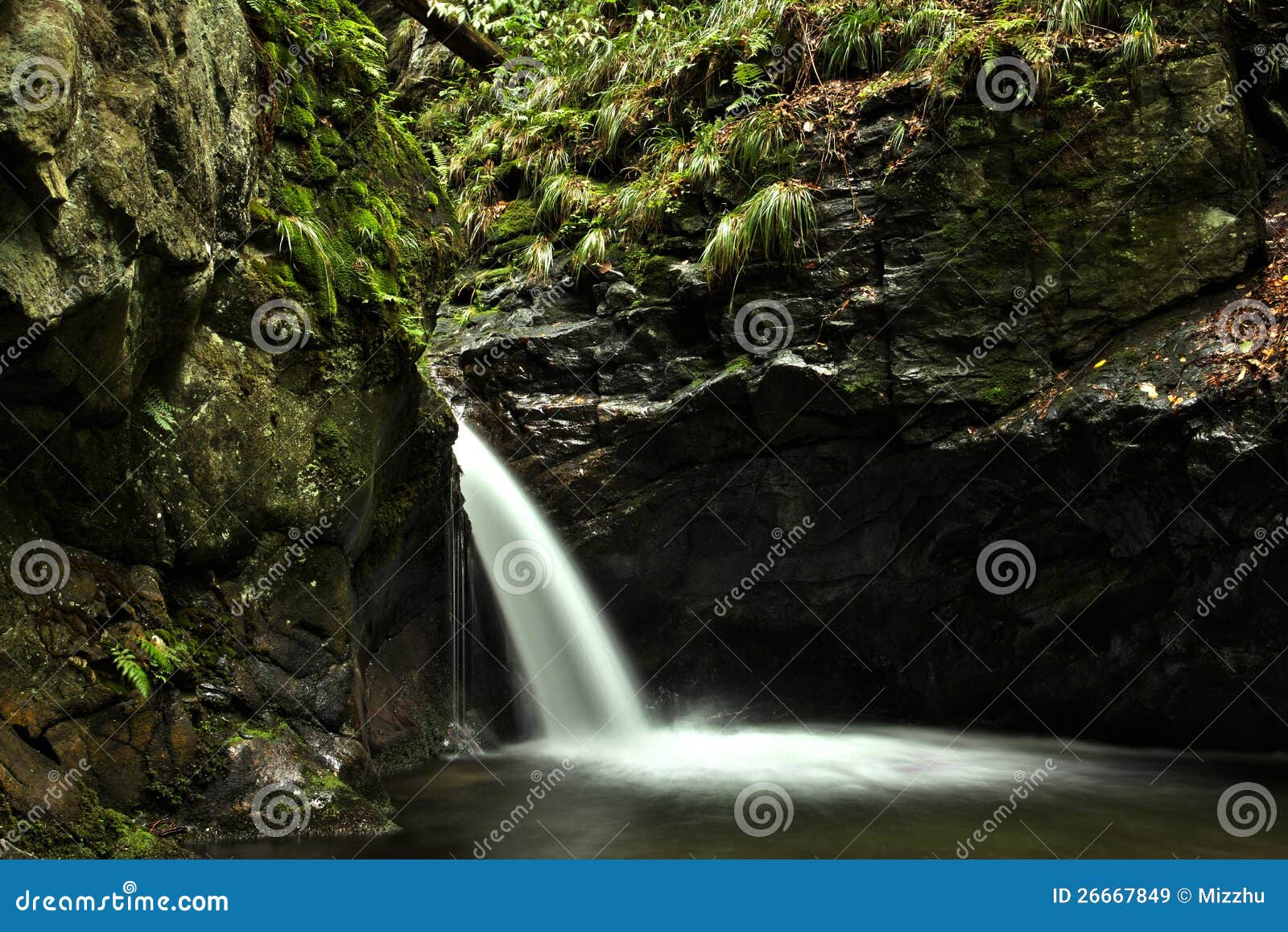 Waterfall of Silver stream stock image. Image of nature - 26667849