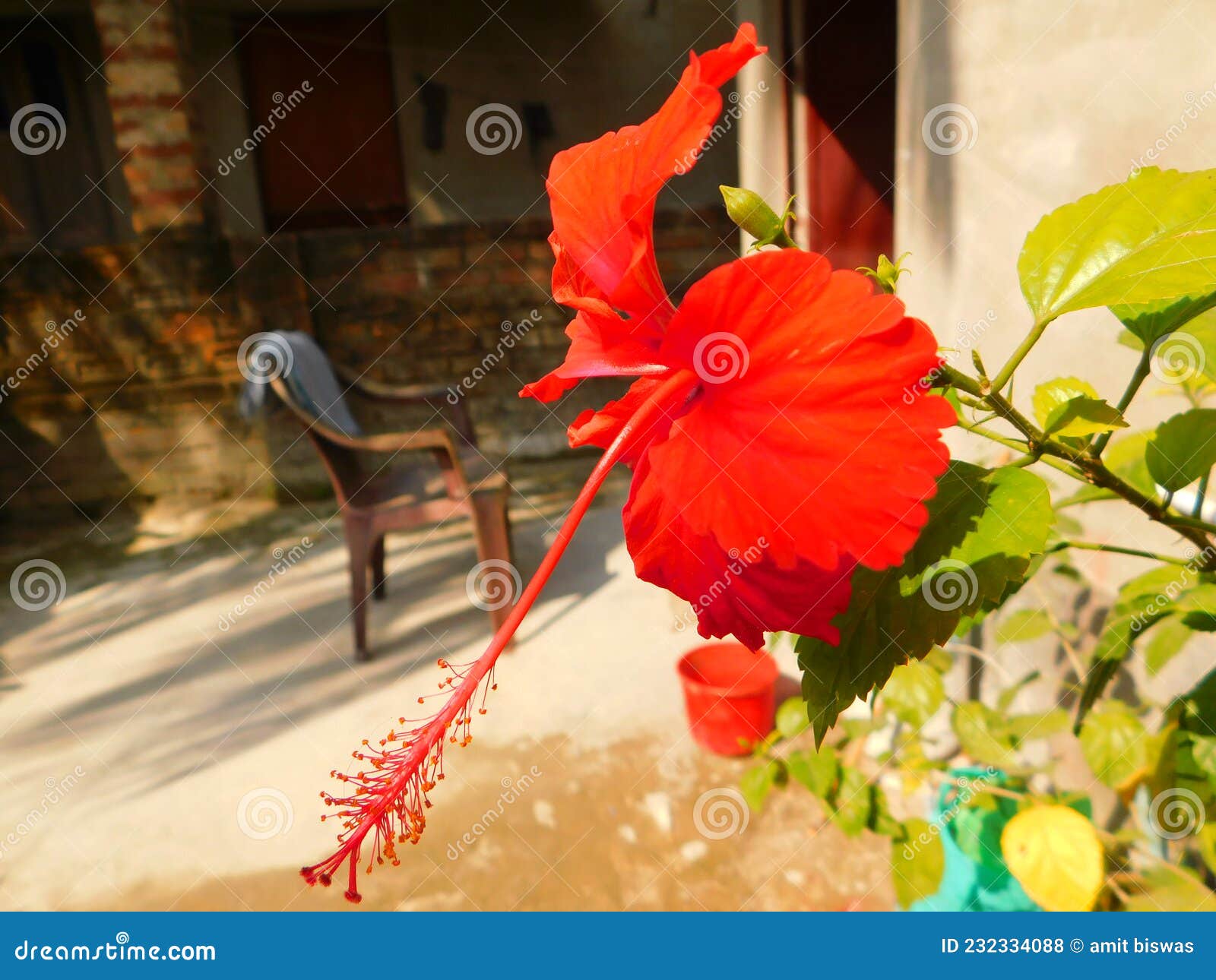 Waterfall in simla stock photo. Image of nature, simla - 232334088