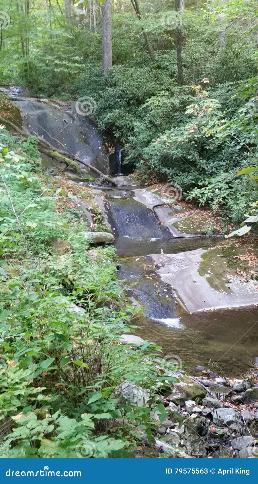 Waterfall on slick rocks stock image. Image of slick - 79575563