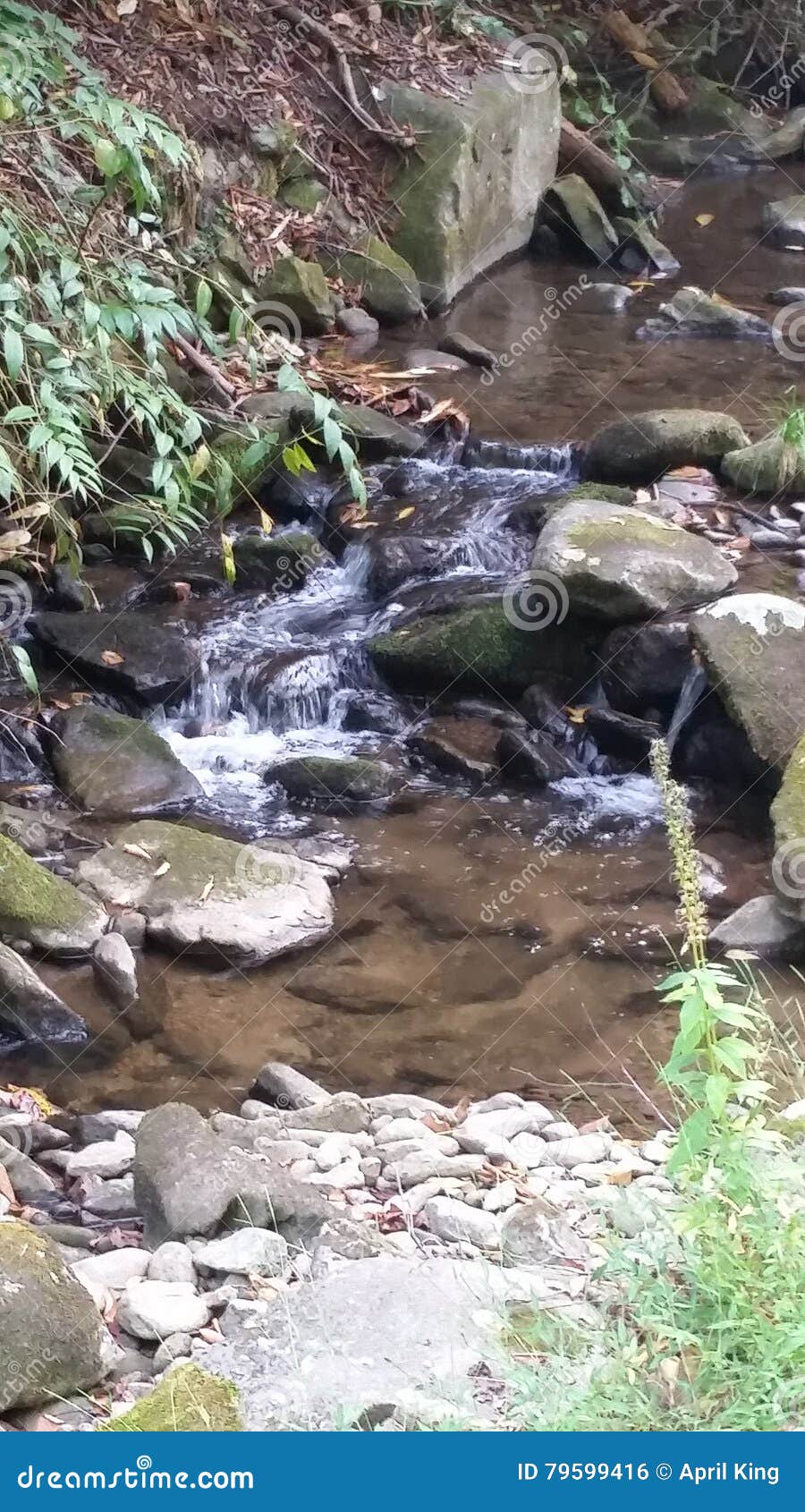 Waterfall slowly runs stock photo. Image of running, creek - 79599416