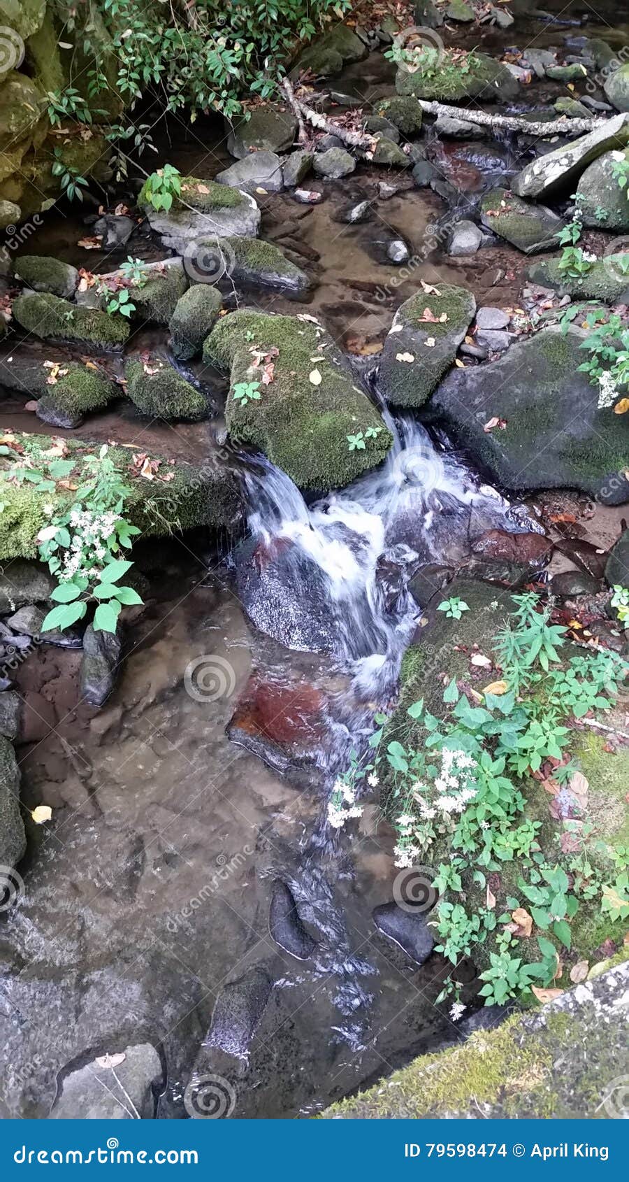 Waterfall are Small yet Beautiful Stock Photo - Image of small, natures ...