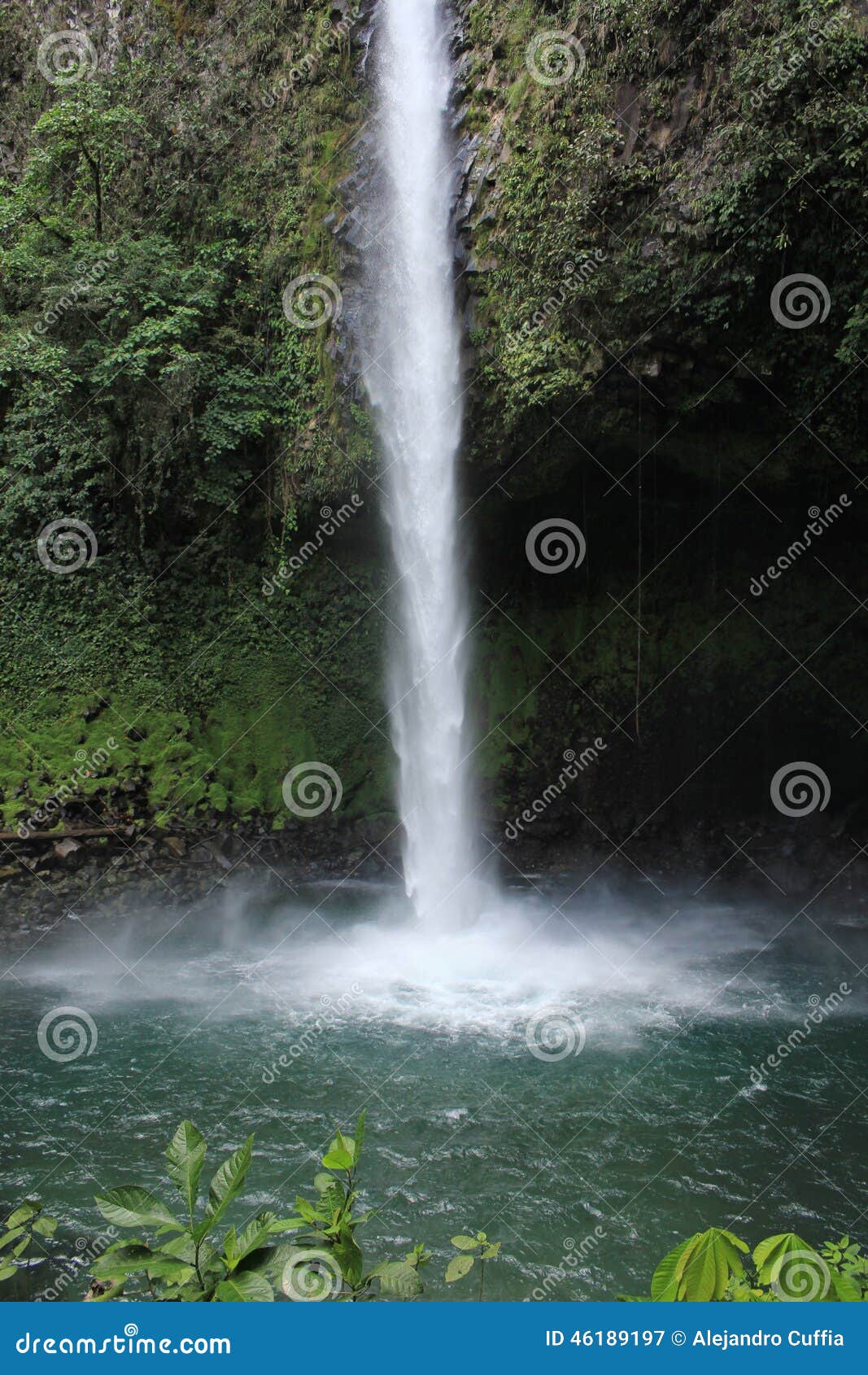 Waterfall stock image. Image of rica, water, trees, tropical - 46189197