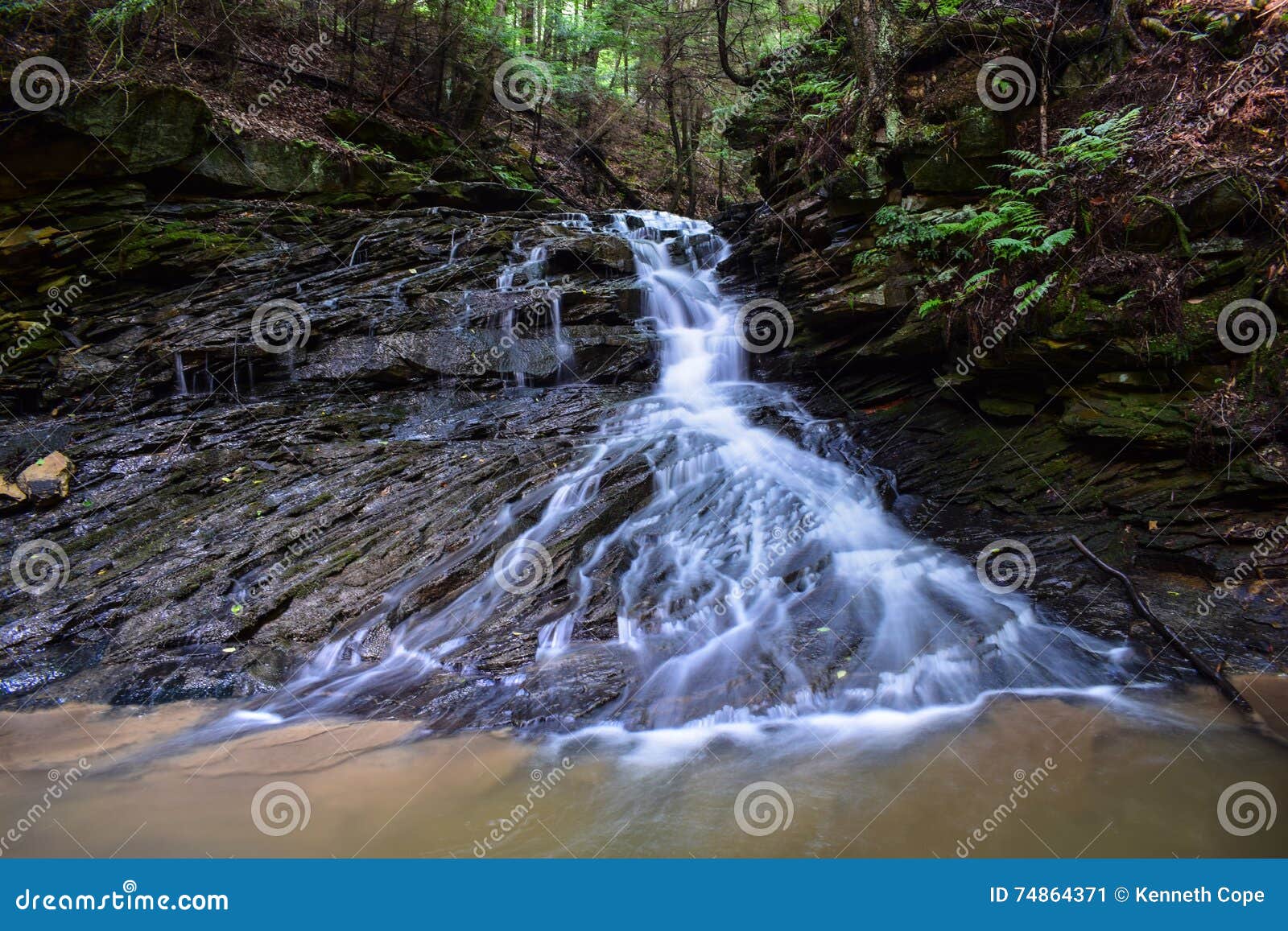 Waterfall on a Small Native Brook Trout Stream. Stock Image - Image of ...