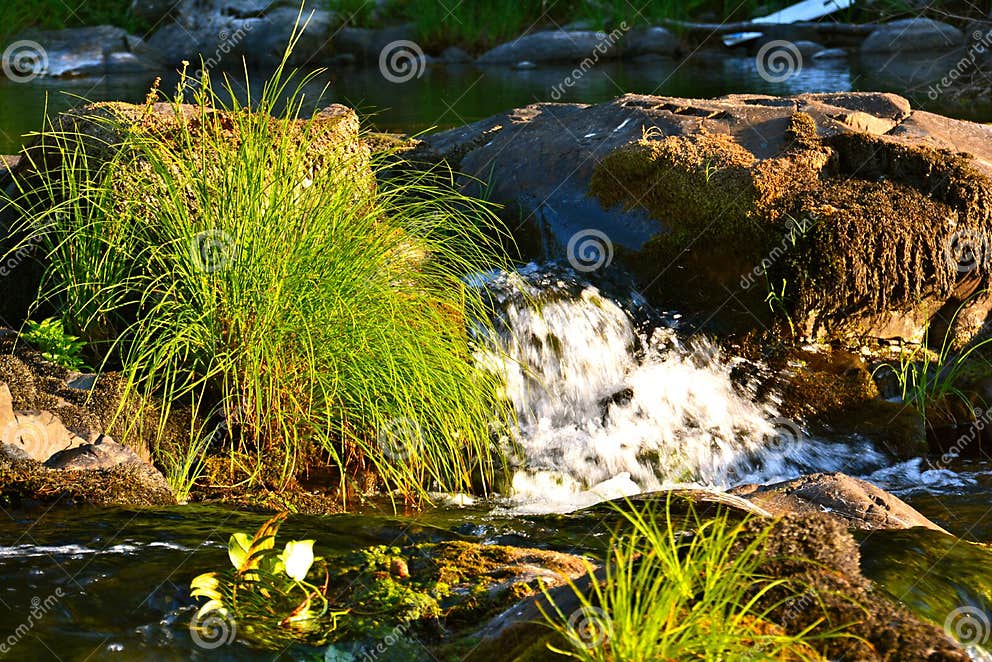 WATERFALL stock photo. Image of grass, small, rapids - 43817712