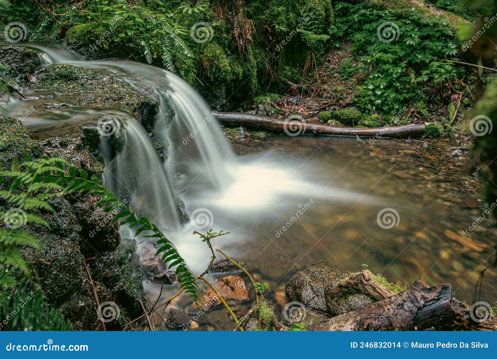 Waterfall stock photo. Image of woods, stream, waterfall - 246832014
