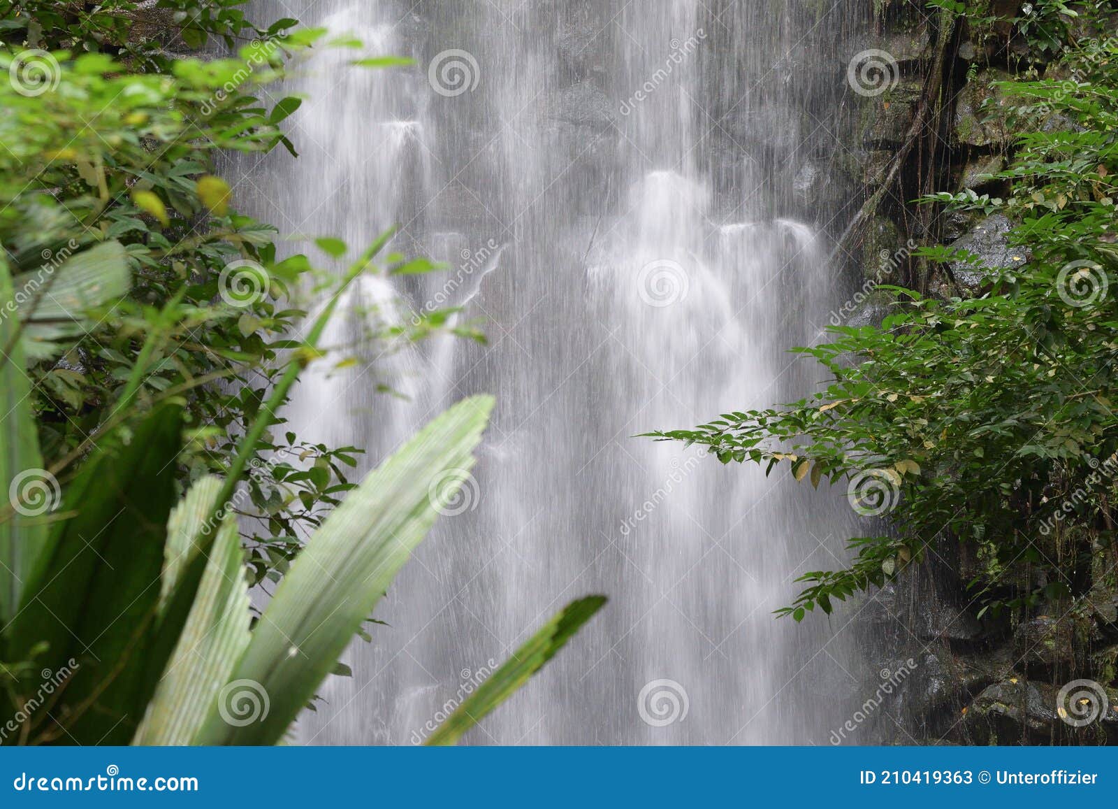 A Waterfall with Smooth Silky Falling Water in a Dense Forest Stock ...