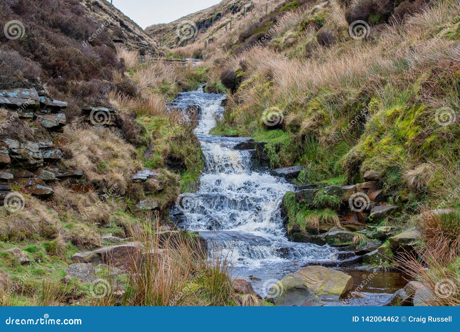 408 Snake Pass Photos - Free & Royalty-Free Stock Photos from Dreamstime