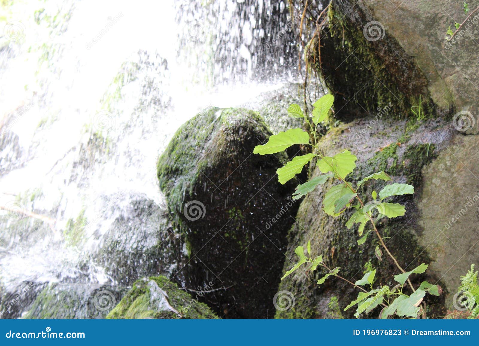 Waterfall in Sonsbeek stock image. Image of gorgeous - 196976823
