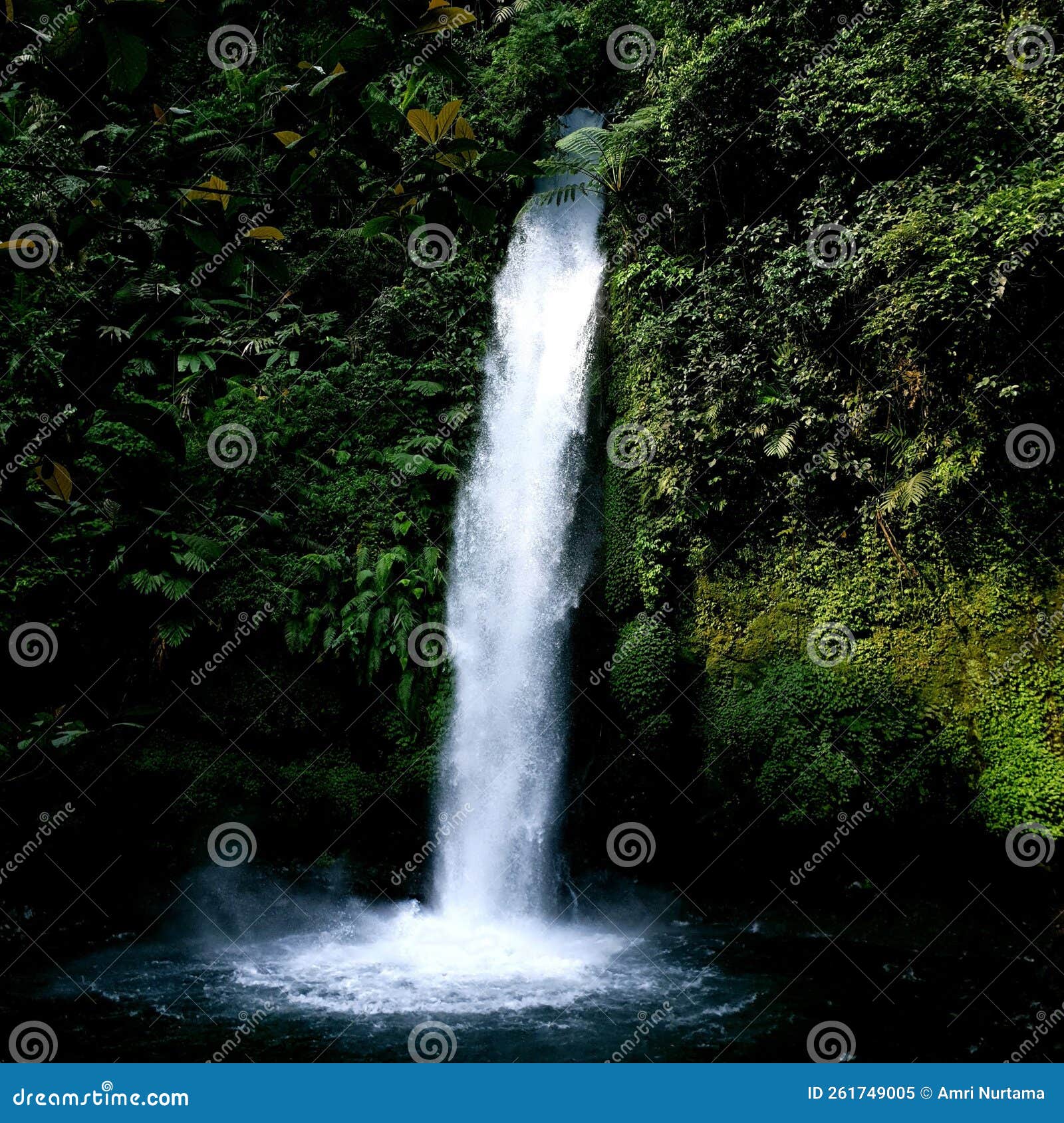 Waterfall stock image. Image of nature, relax, soothing - 261749005