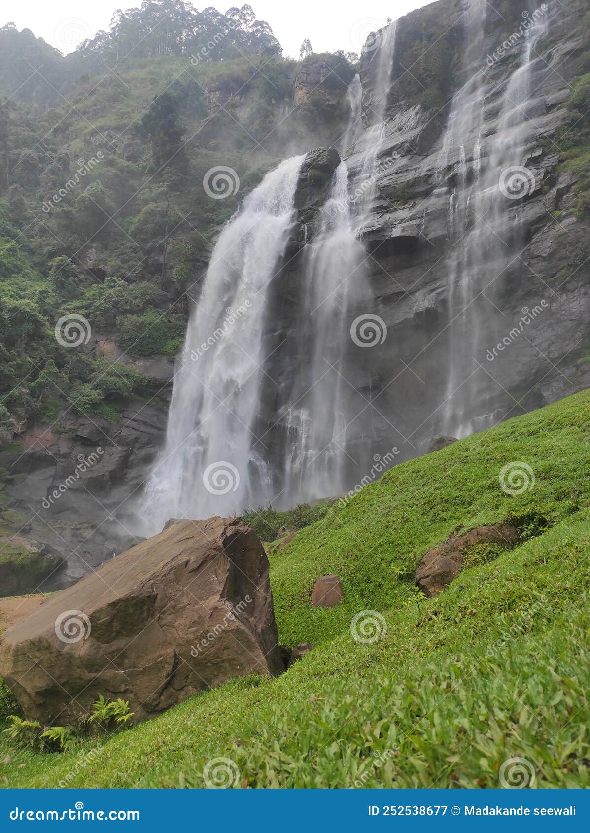 A Creek Splits Into Two Waterfalls In The New Zealand Forest Royalty ...
