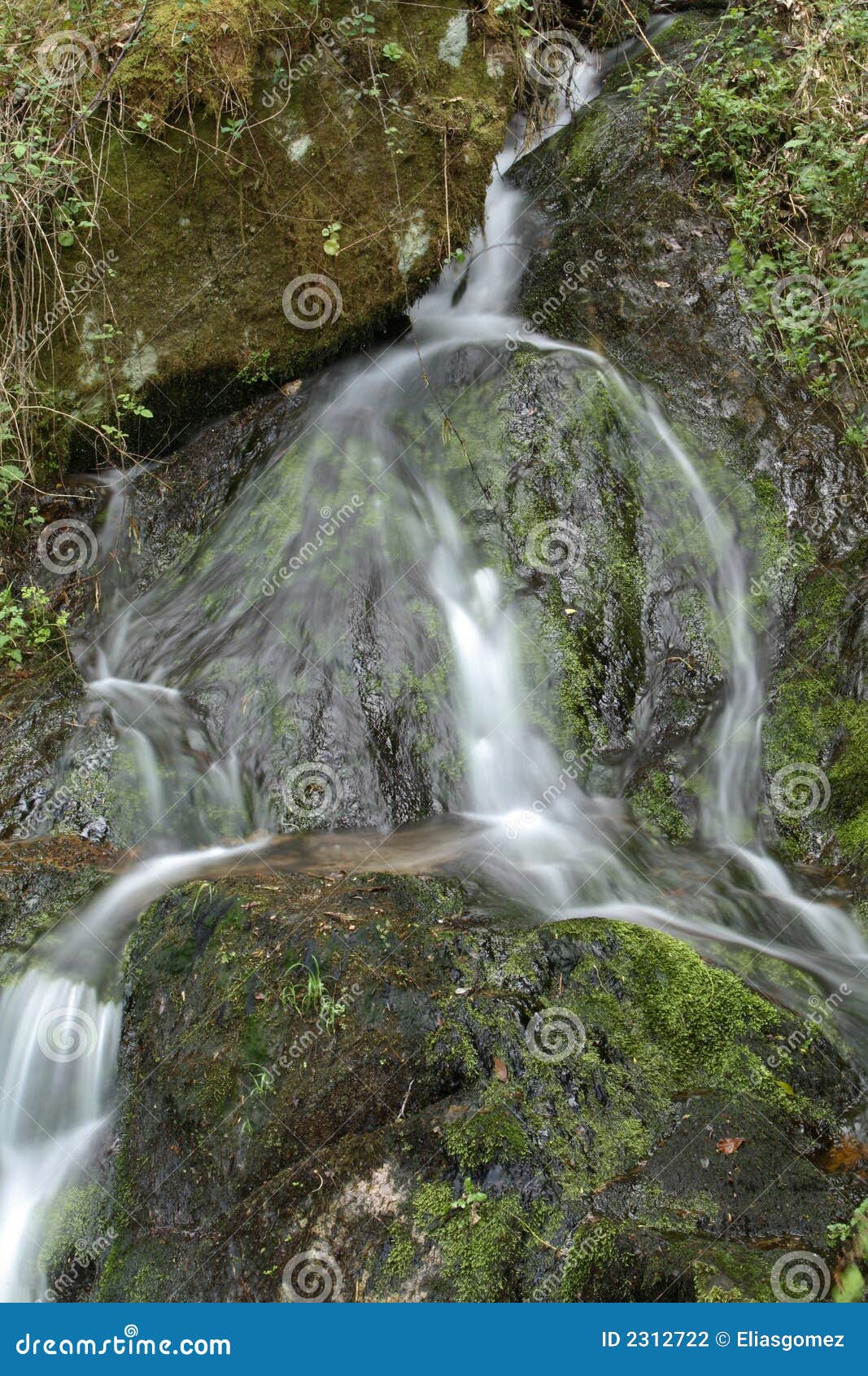 Waterfall in spring stock photo. Image of green, fall - 2312722