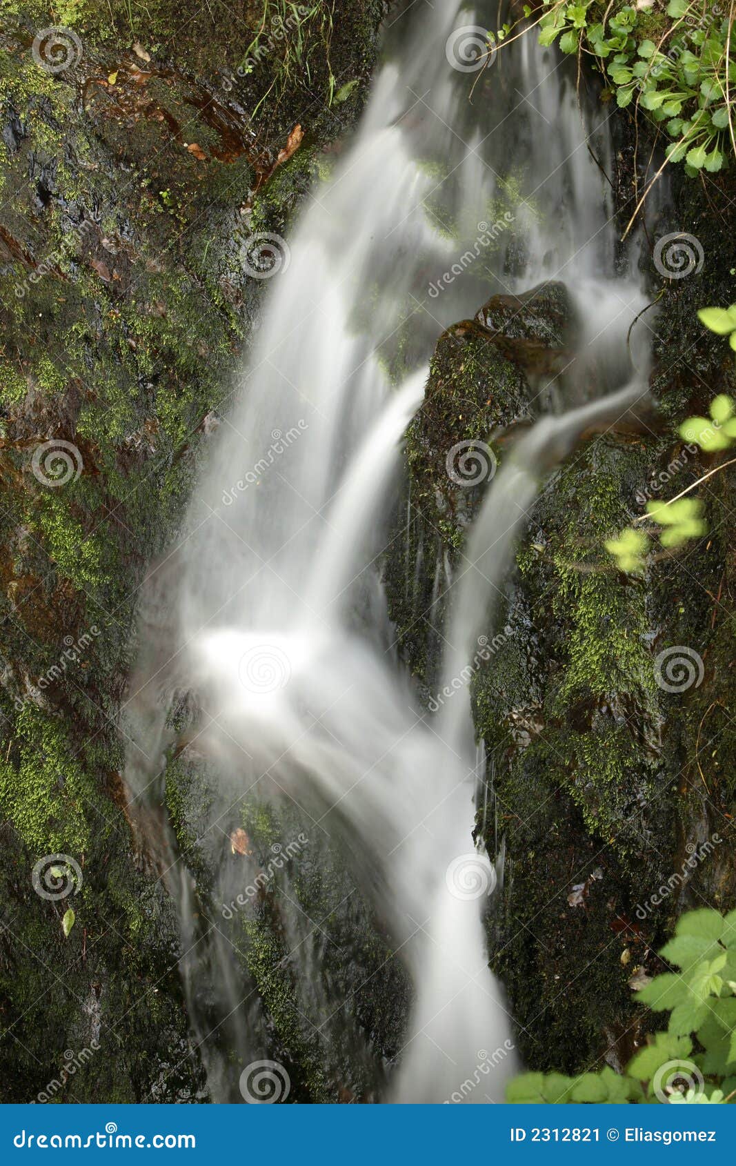 Waterfall in spring stock image. Image of nature, fern - 2312821