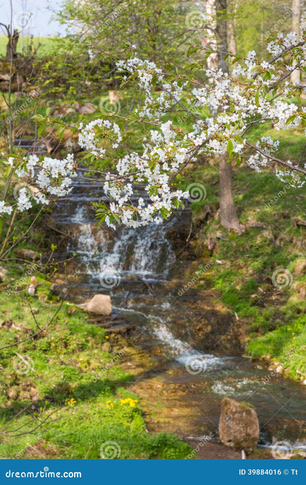 Waterfall in spring stock photo. Image of blooming, fall - 39884016