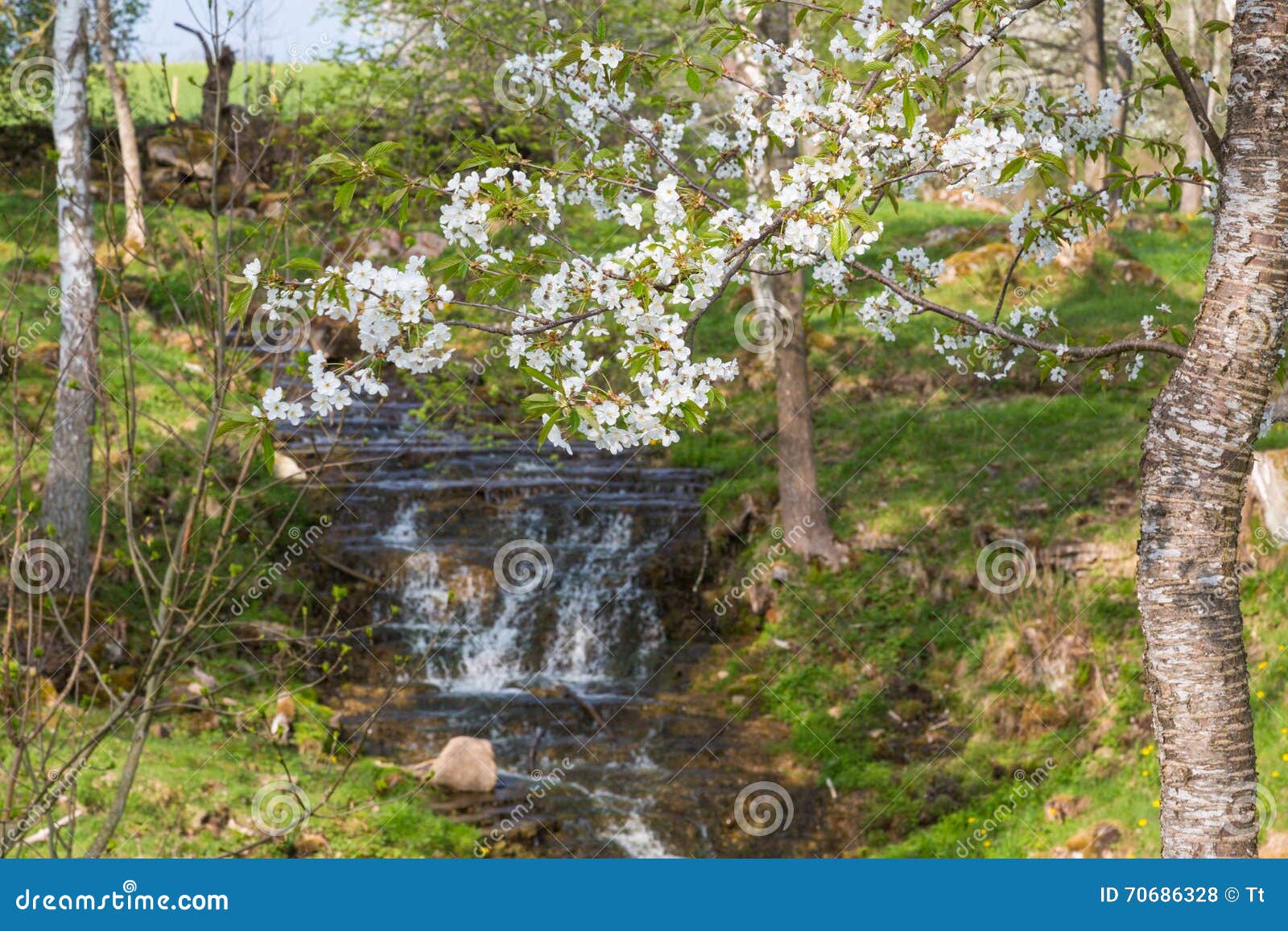 Waterfall in spring stock photo. Image of forest, people - 70686328