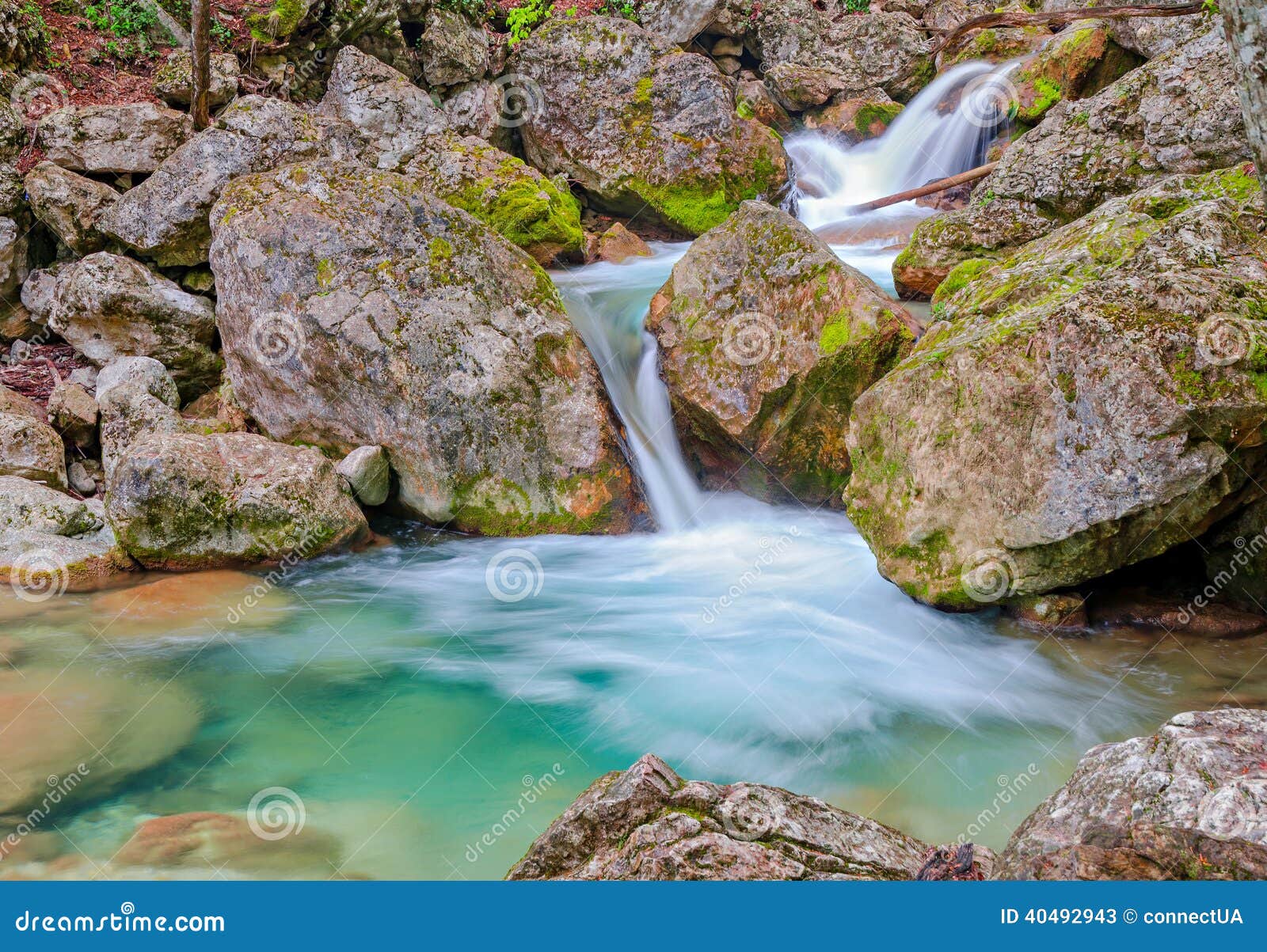 193,725 Forest Flow Stock Photos - Free & Royalty-Free Stock Photos ...