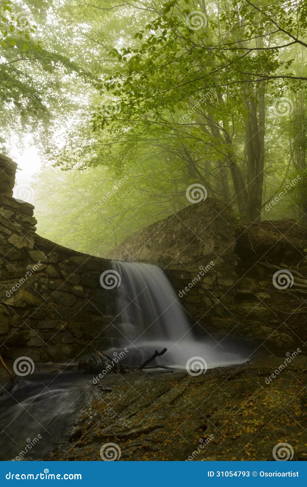 Waterfall on Spring in the Green Forest Stock Image - Image of nature ...
