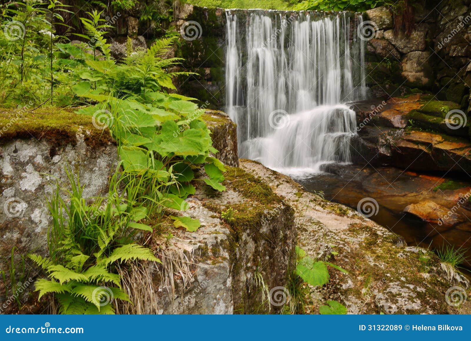 Waterfalls stock image. Image of water, green, nature - 31322089