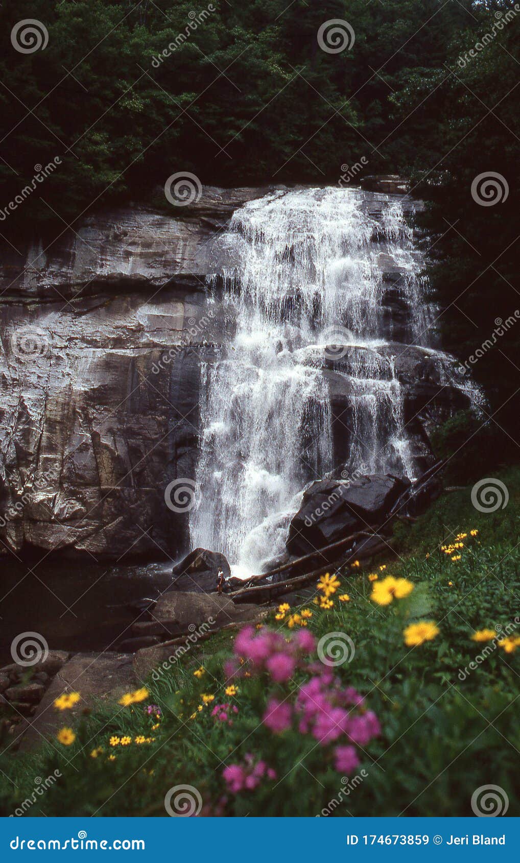 Waterfall in Spring with Wild Flowers Stock Image - Image of tourism ...