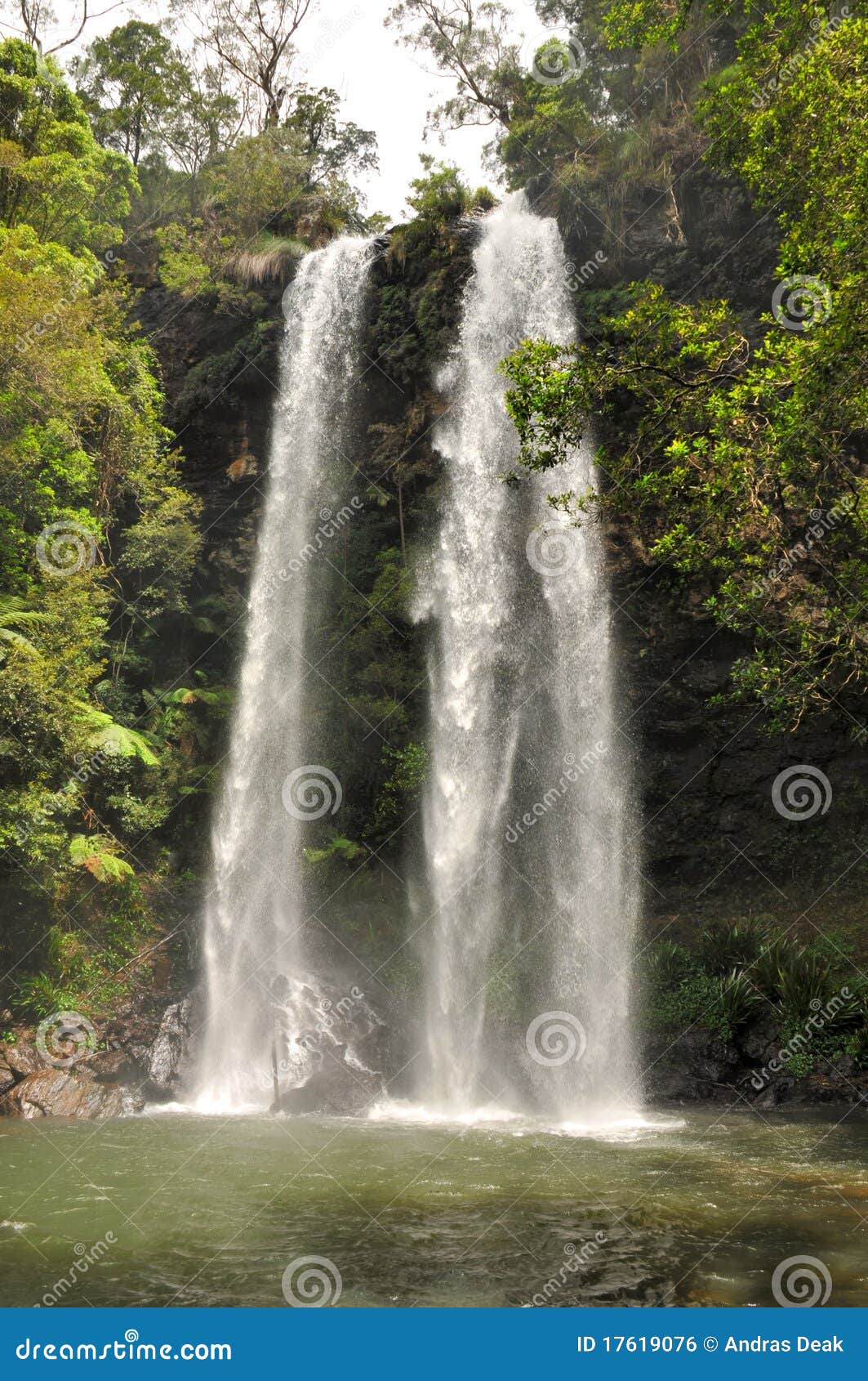 Waterfall in the Springbrook National Park Stock Photo - Image of twin ...