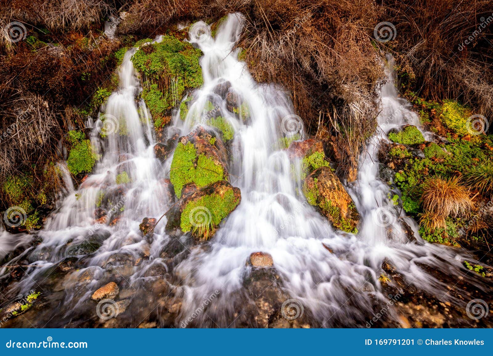 Waterfall Springs Flow Right Out of the Canyon Stock Image - Image of ...
