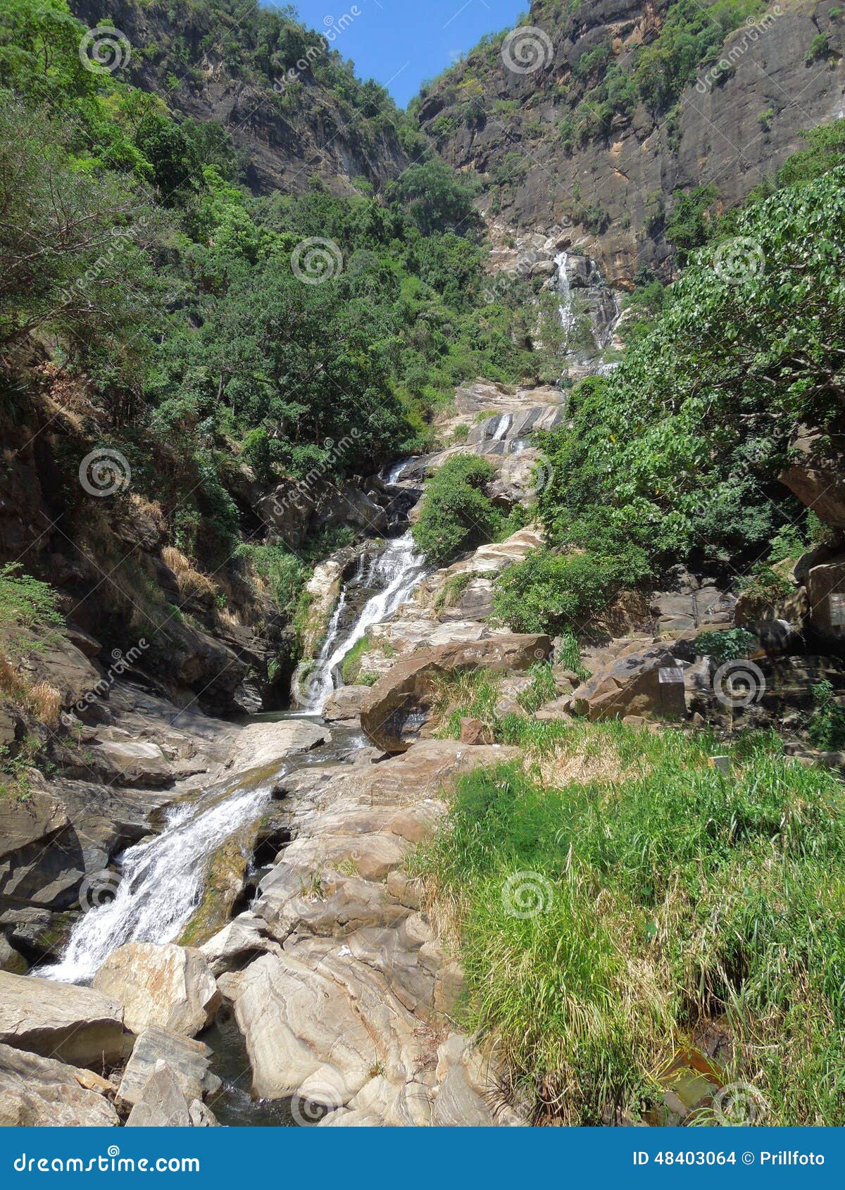 Waterfall in Sri Lanka stock photo. Image of plant, outdoors - 48403064