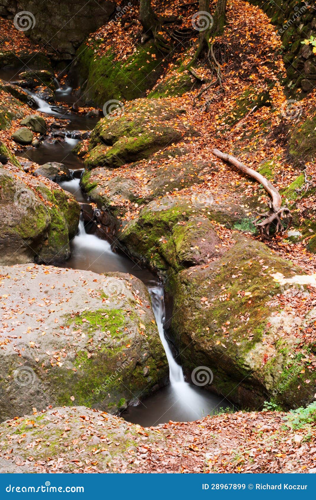 Waterfall stairs stock image. Image of landscape, leaf - 28967899