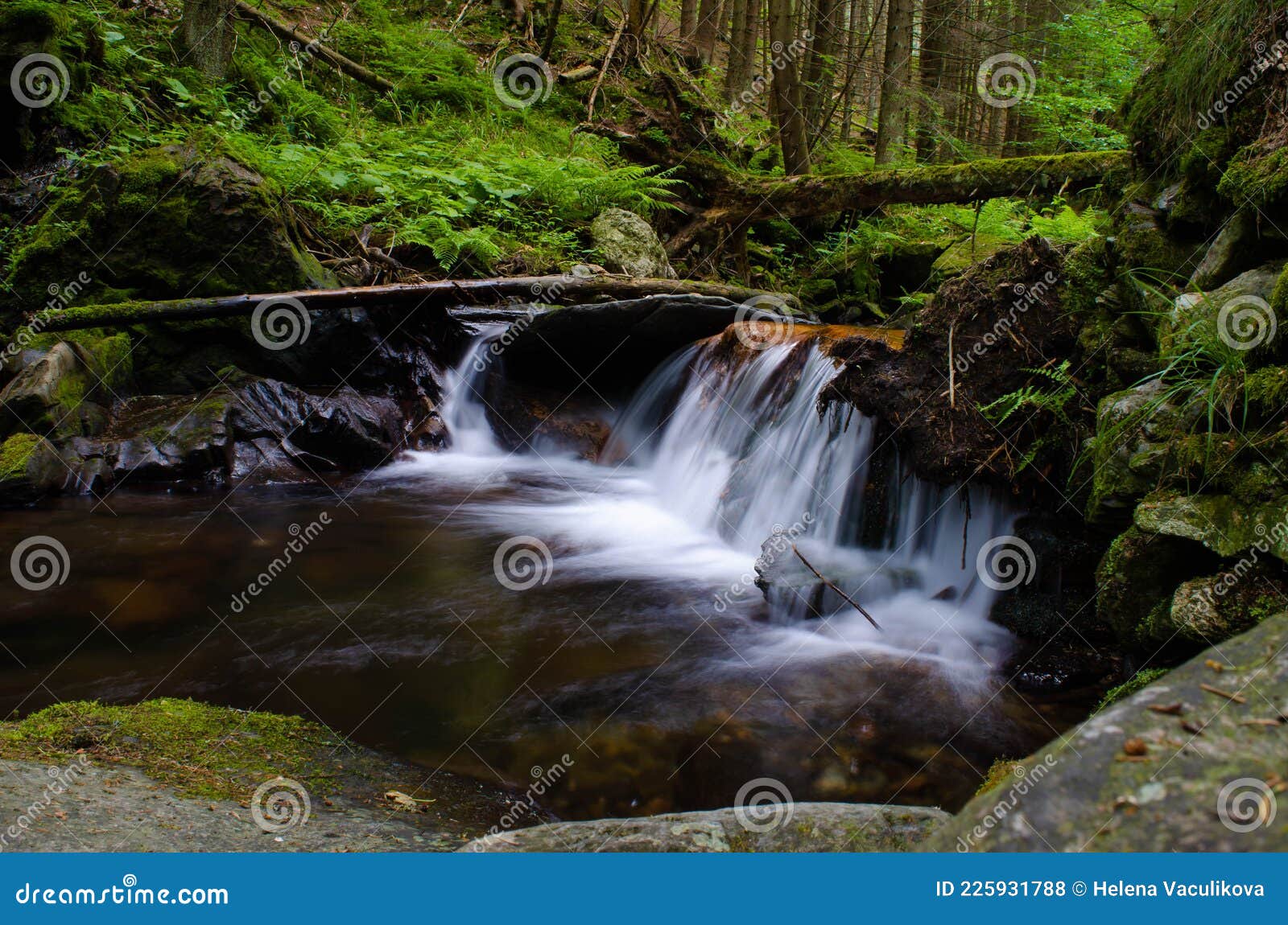 Nature waterfall stock photo. Image of soft, hanging - 225931788