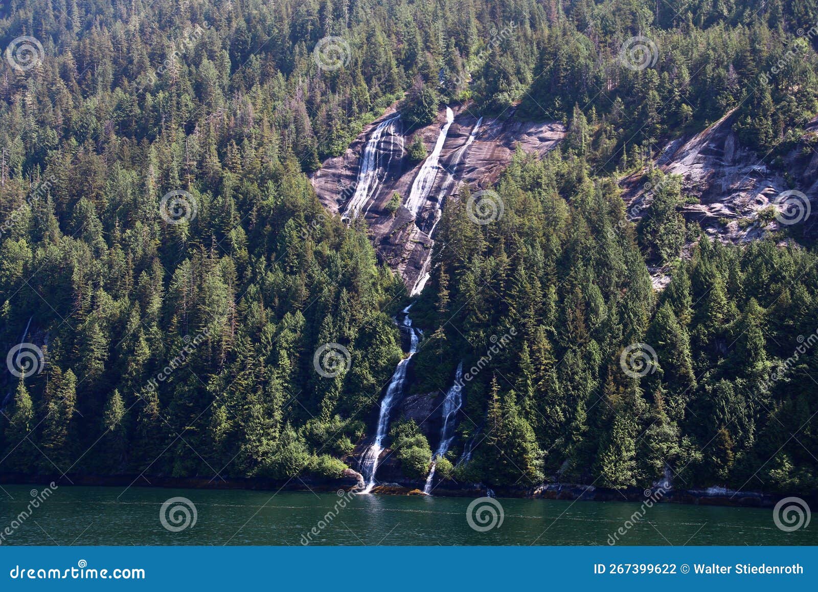 Waterfall in the Stephens Passage, Alaska Stock Photo - Image of forest ...