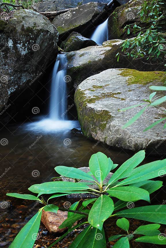 Waterfall Steps stock photo. Image of nature, forest, water - 4180290