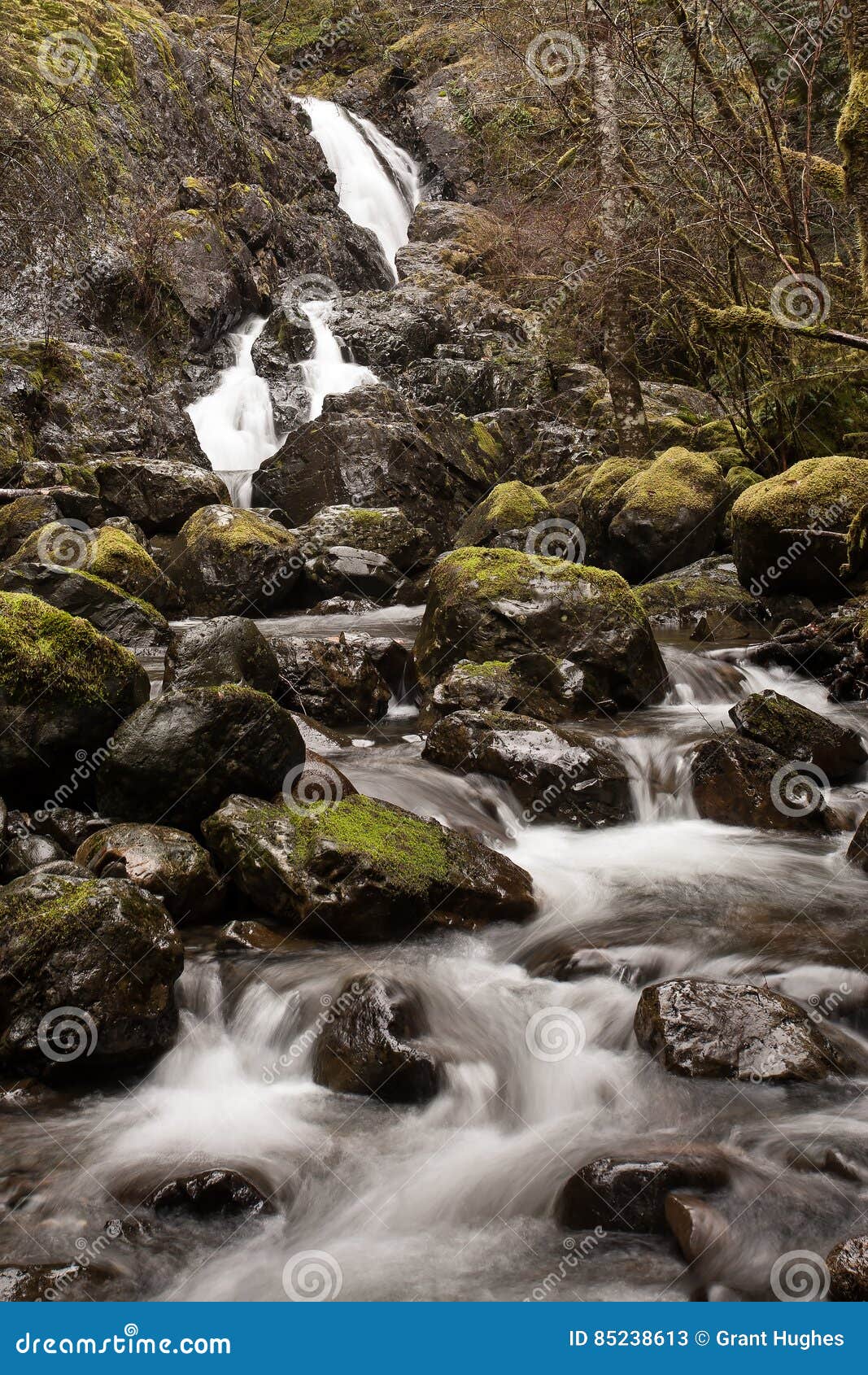 Waterfall and Stream Flow Over Boulders through Coastal Rainforest ...