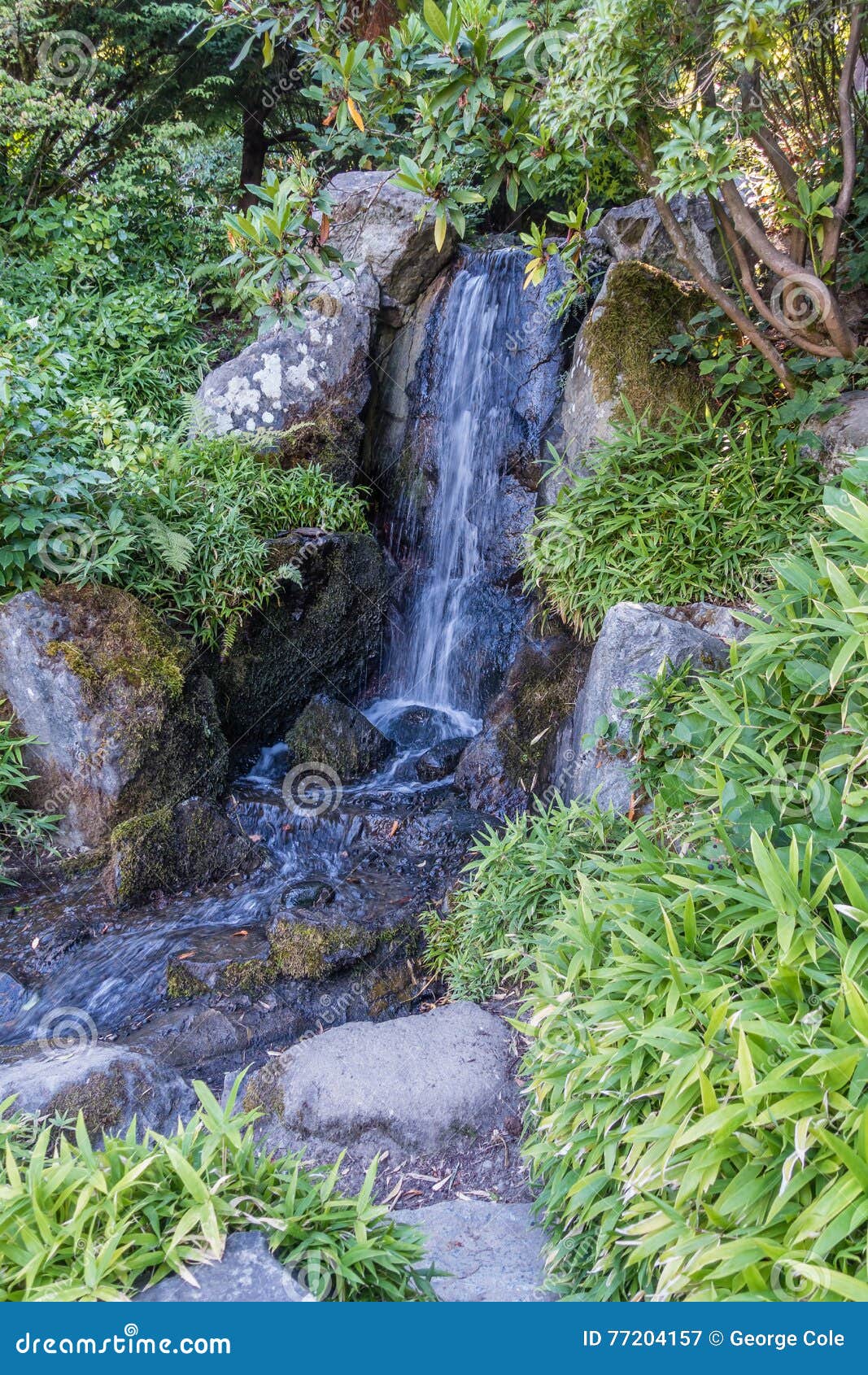 Waterfall and Stream 2 stock image. Image of stream, nature - 77204157