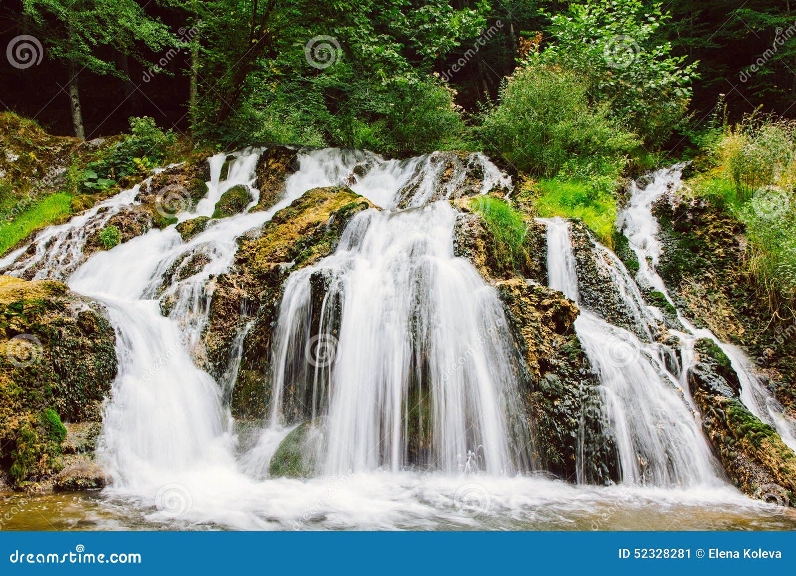 Waterfall stream in forest stock image. Image of fresh - 52328281