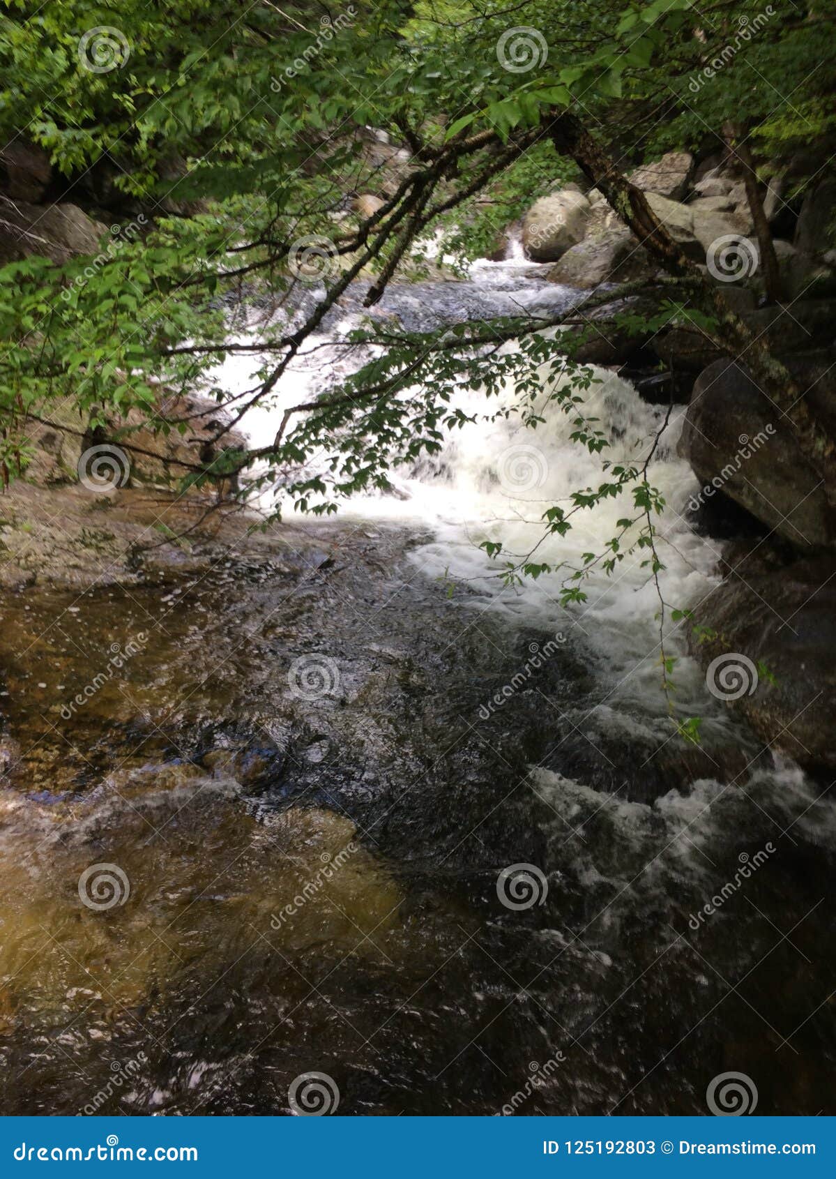 Waterfall Stream Nature Outdoor Trees Stock Image - Image of stream ...