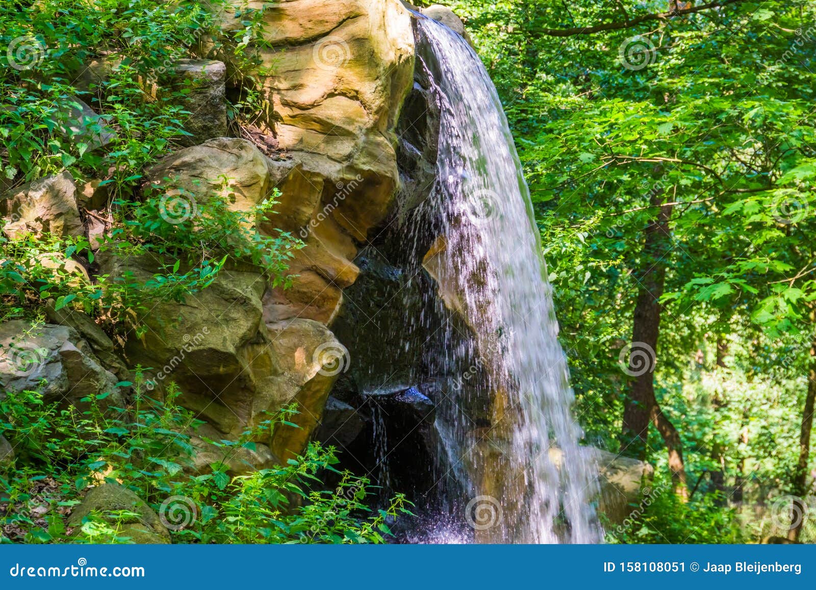 Waterfall Streaming of a Cliff in a Forest, Nature Background, Garden ...
