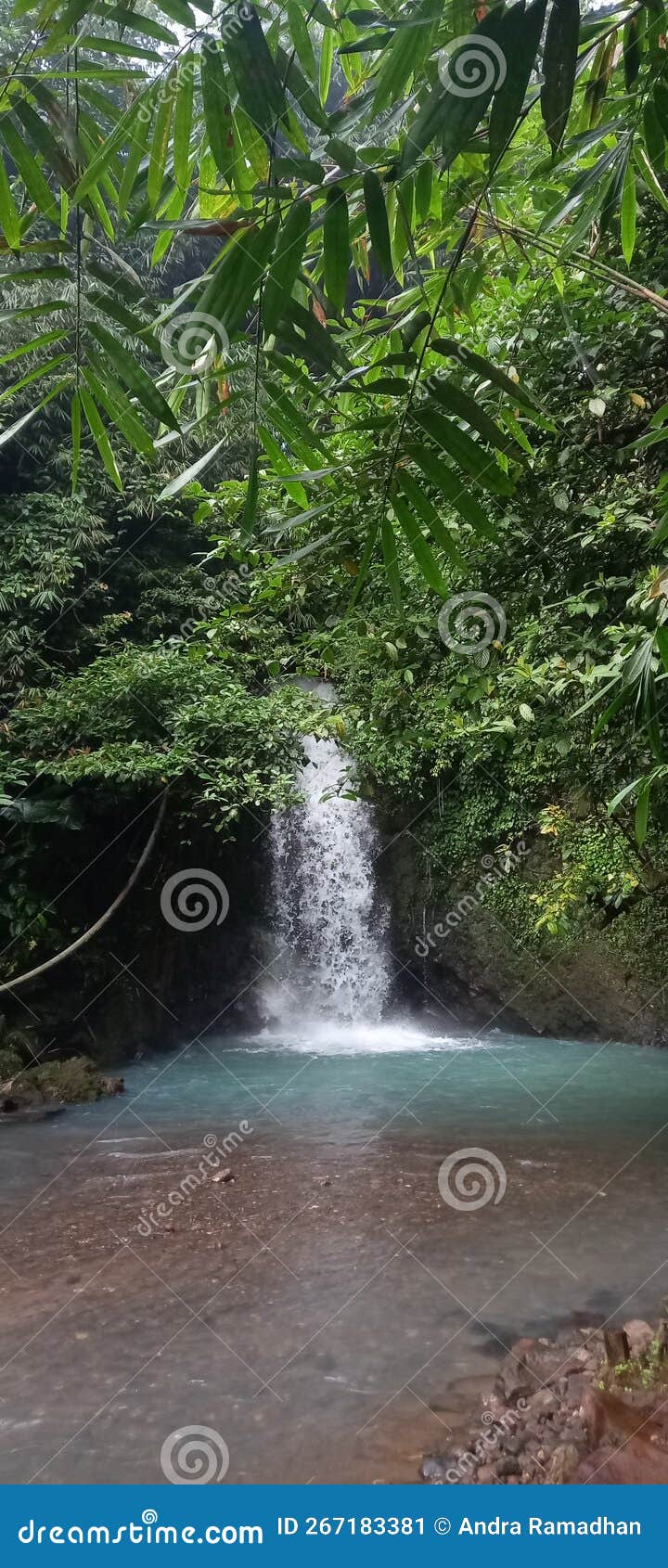 Waterfall, Subang, Jawa Barat, Indonesia Stock Image - Image of tree ...