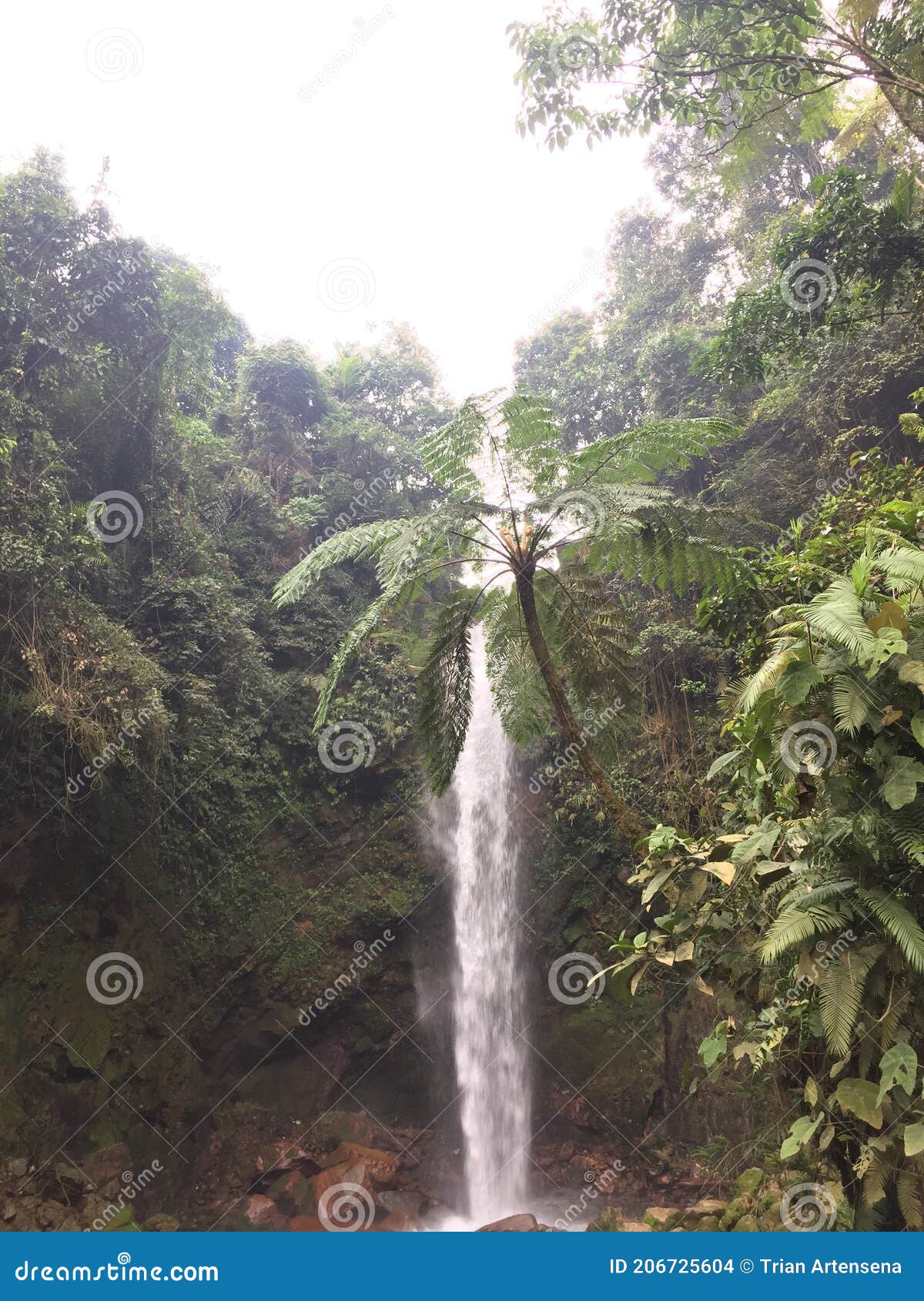 Waterfall Sukabumi West Java Stock Photo - Image of java, jungle: 206725604