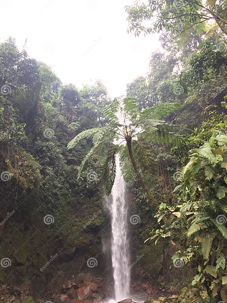 Waterfall Sukabumi West Java Stock Photo - Image of java, jungle: 206725604