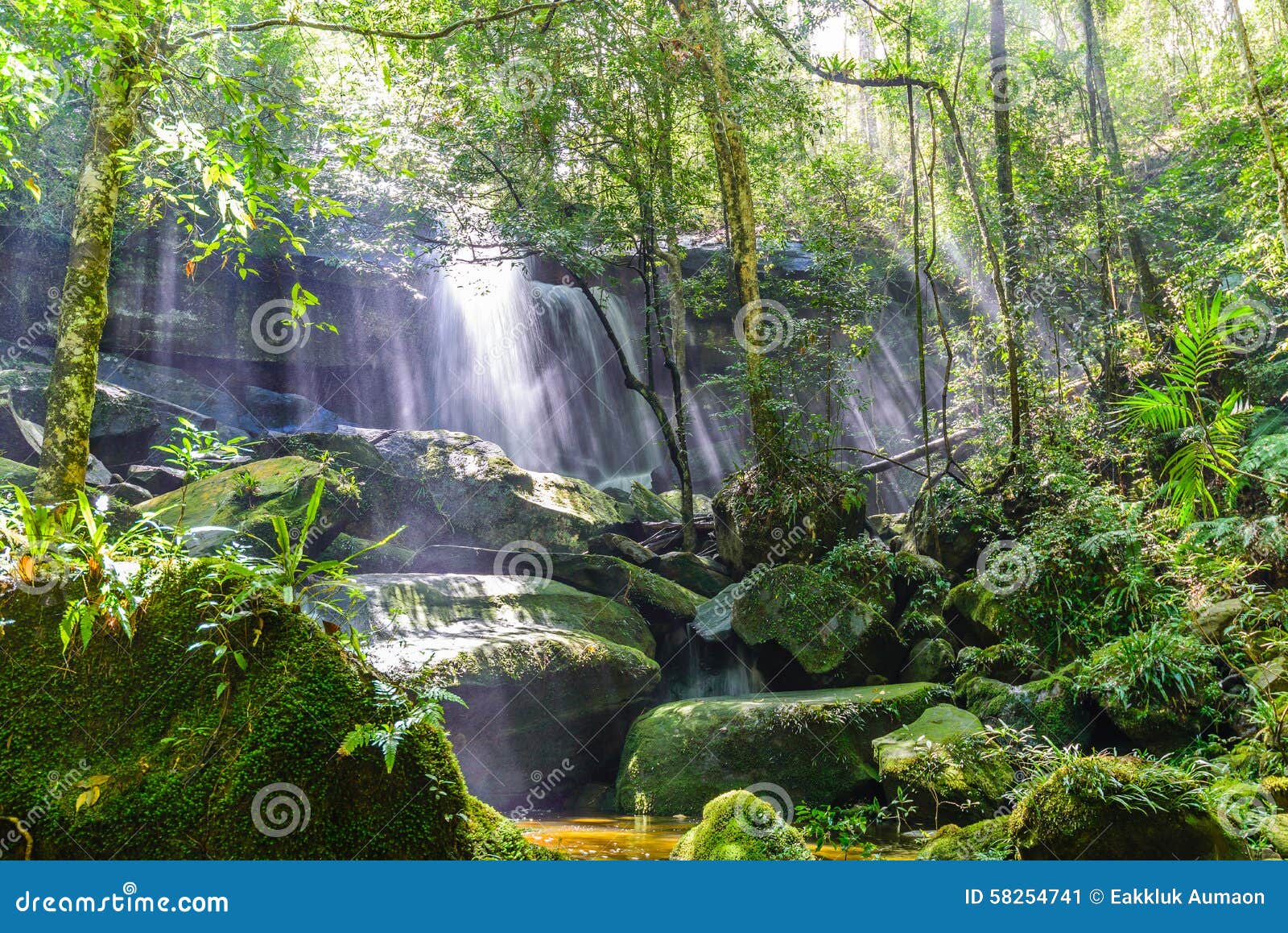 Waterfall with Sunbeam in Rainforest Stock Image - Image of forest ...