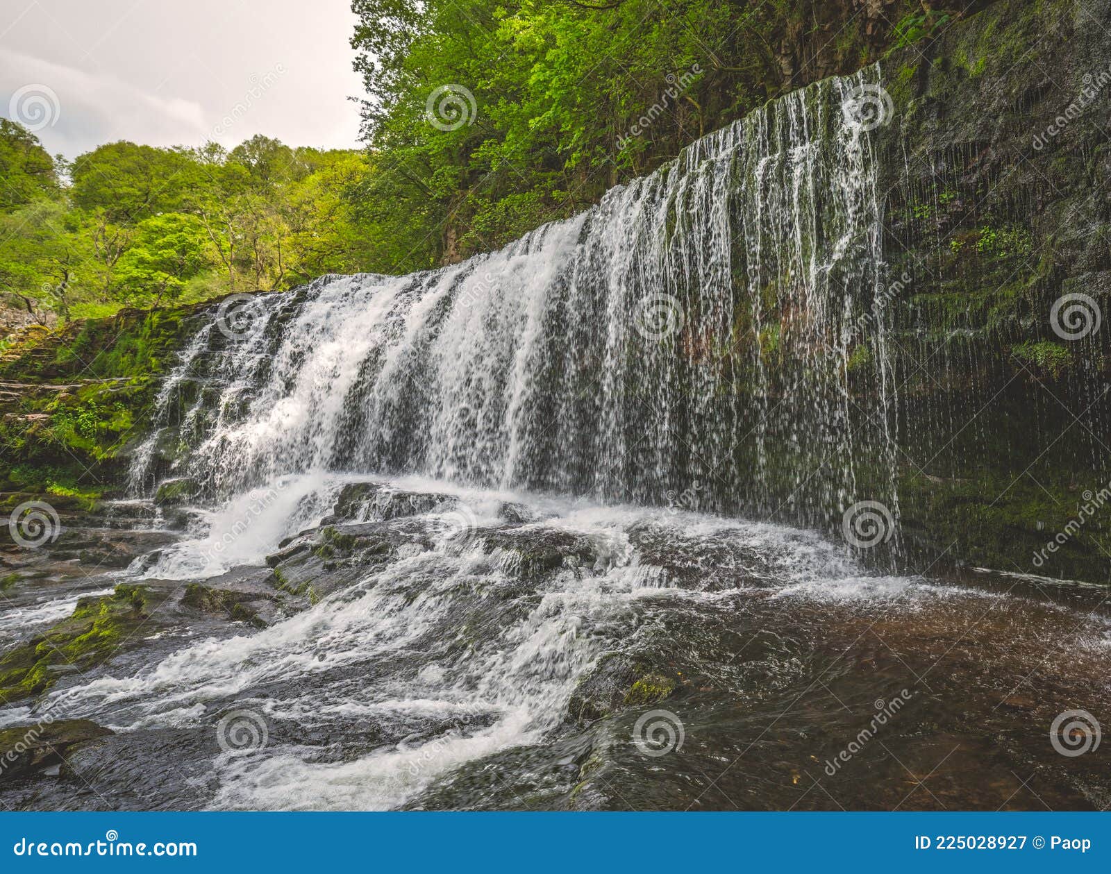 Waterfall Surrounded by Moss, Trees, and Stones in Ystradfellte Neath ...