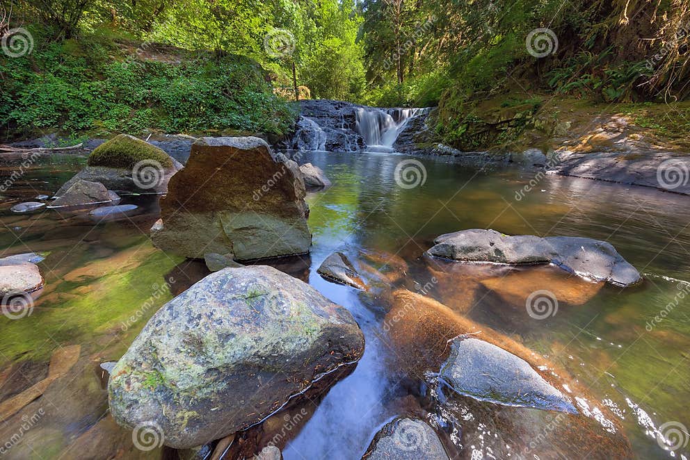 Waterfall at Sweet Creek Falls Trail in Mapleton Oregon Stock Photo ...