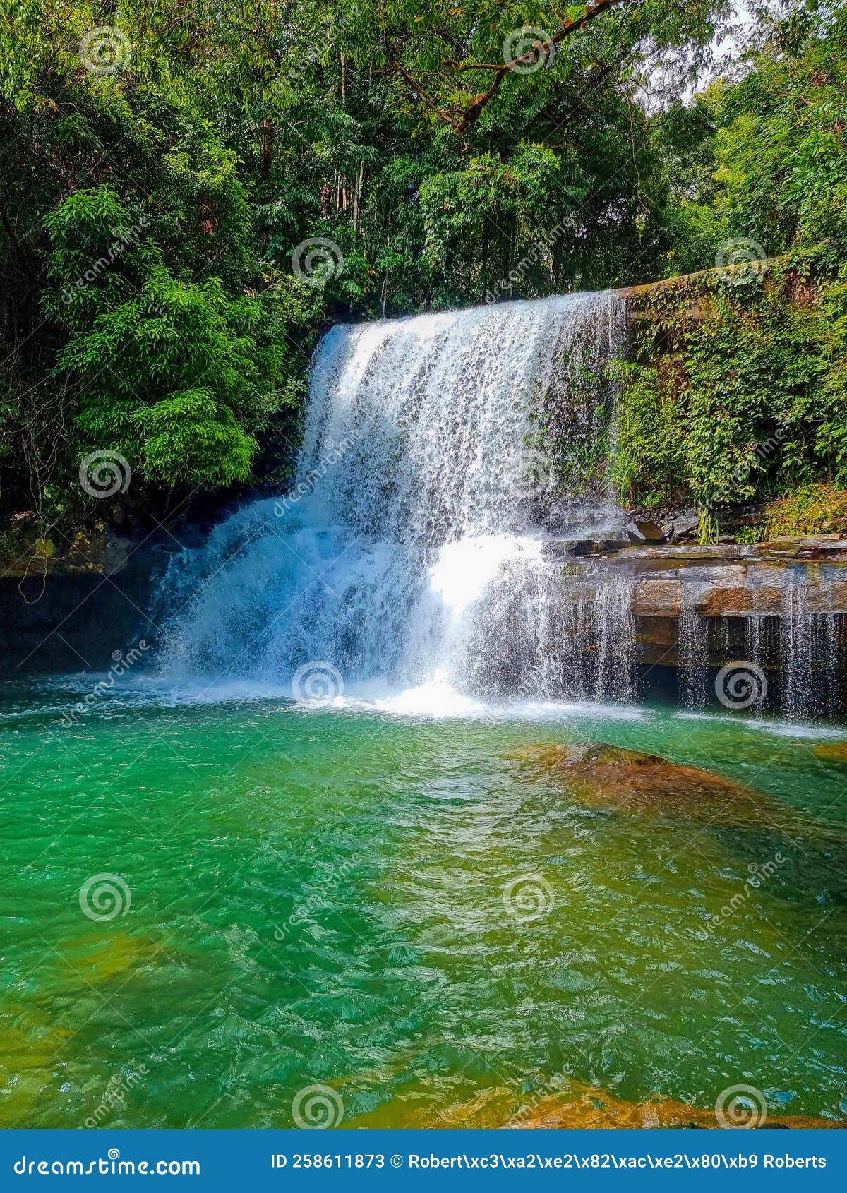 Waterfall, Thailand, Koh Kood Stock Image - Image of plant, creek ...