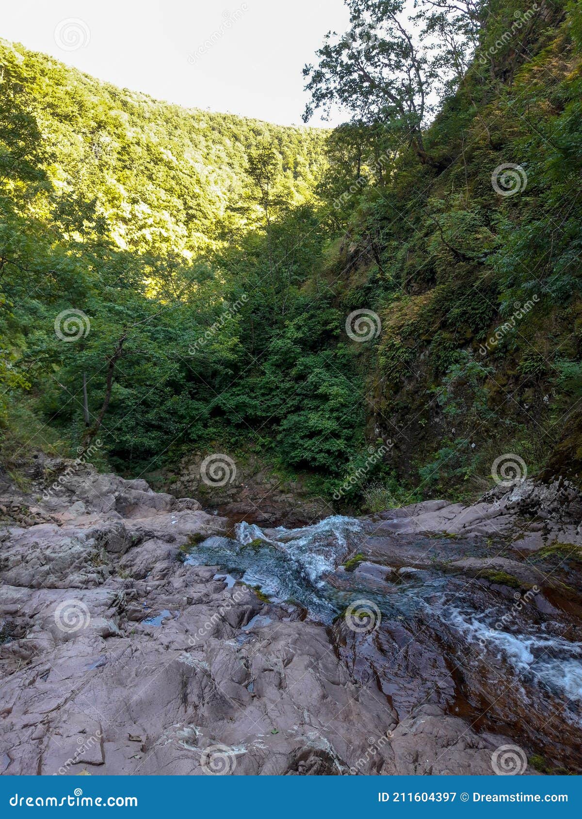 Waterfall top side view stock image. Image of vegetation - 211604397