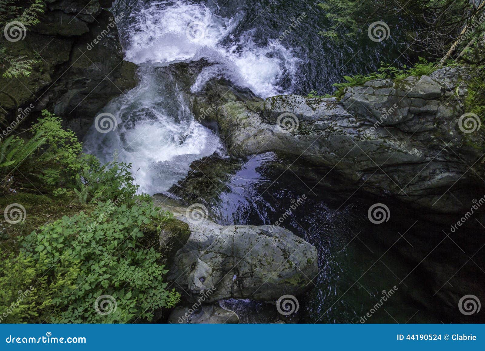 Waterfall stock photo. Image of falls, forest, waterfall - 44190524