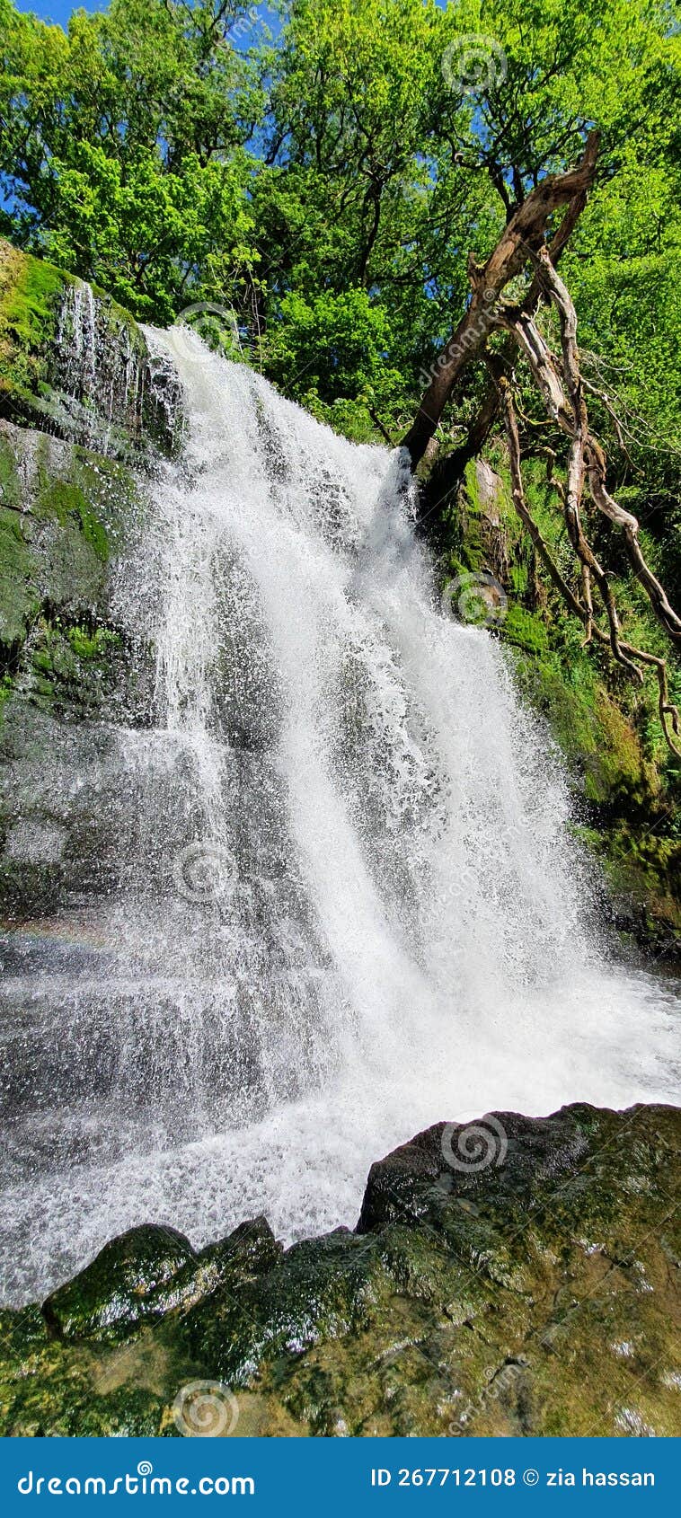 Splash on the rock stock photo. Image of wilderness - 267712108